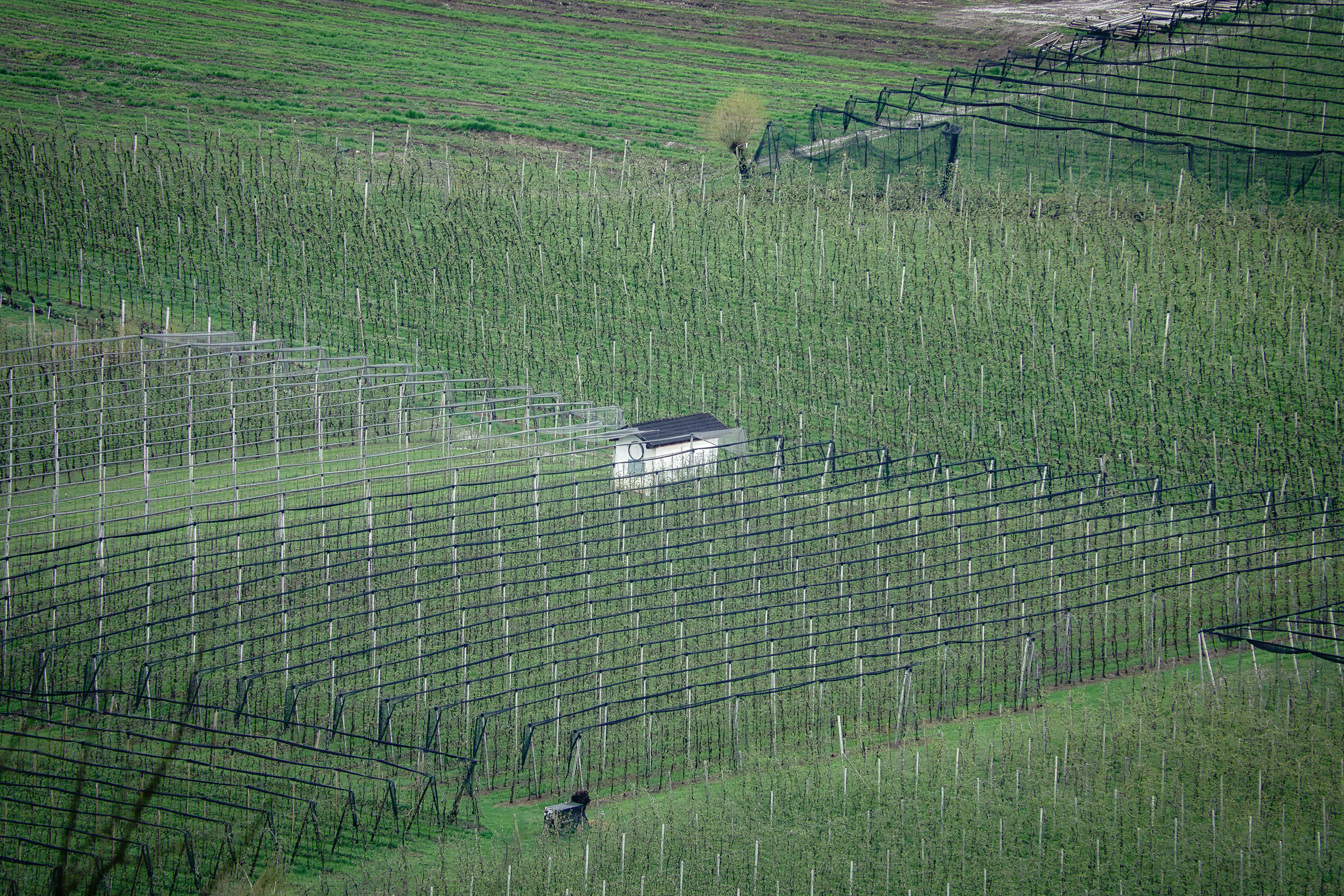 Rows Excerside Photos, Download The BEST Free Rows Excerside Stock ...