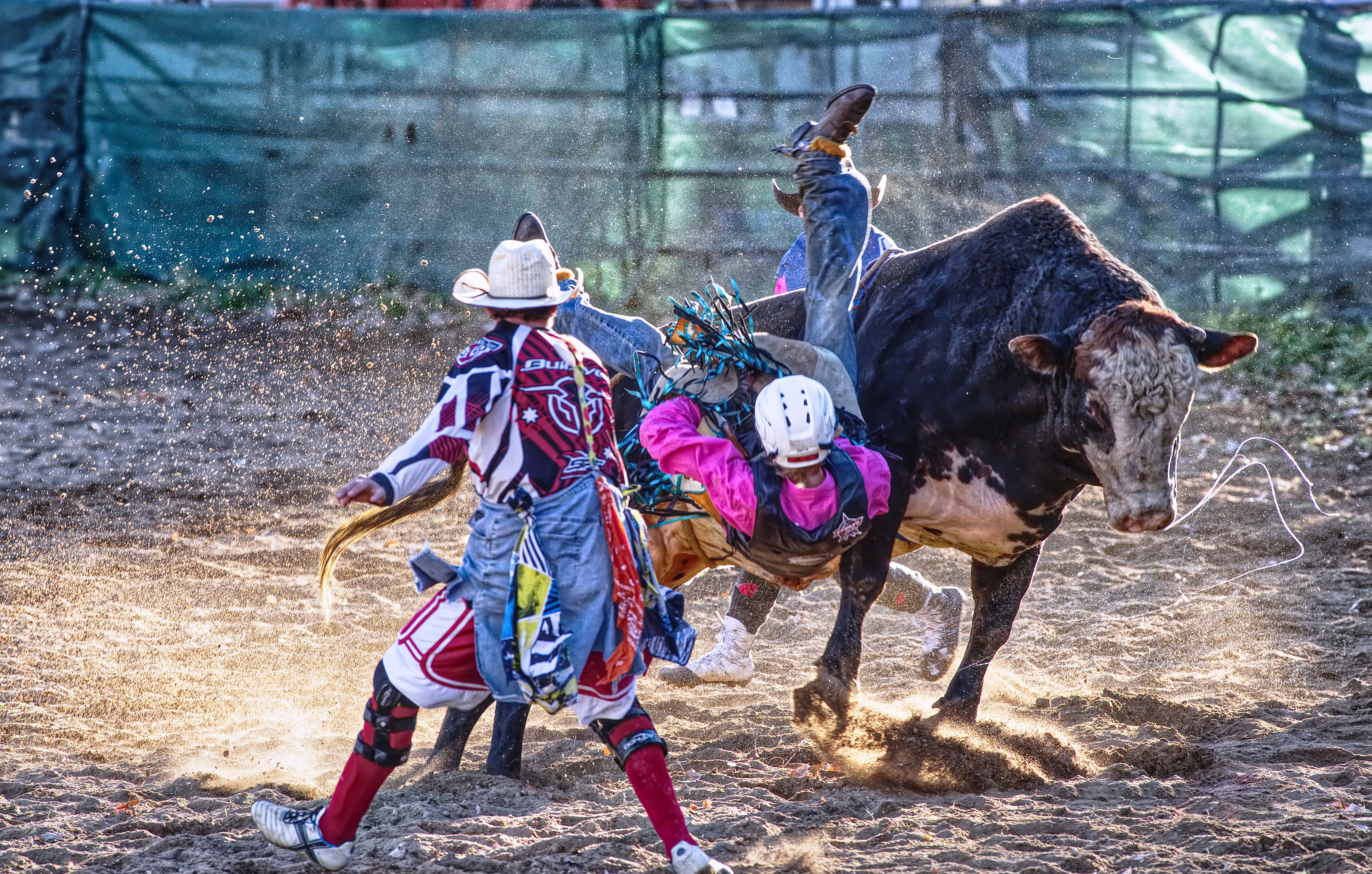 Bull Riding Rodeo Action Capture · Free Stock Photo