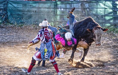 Bull Riding Photos, Download The BEST Free Bull Riding Stock Photos ...