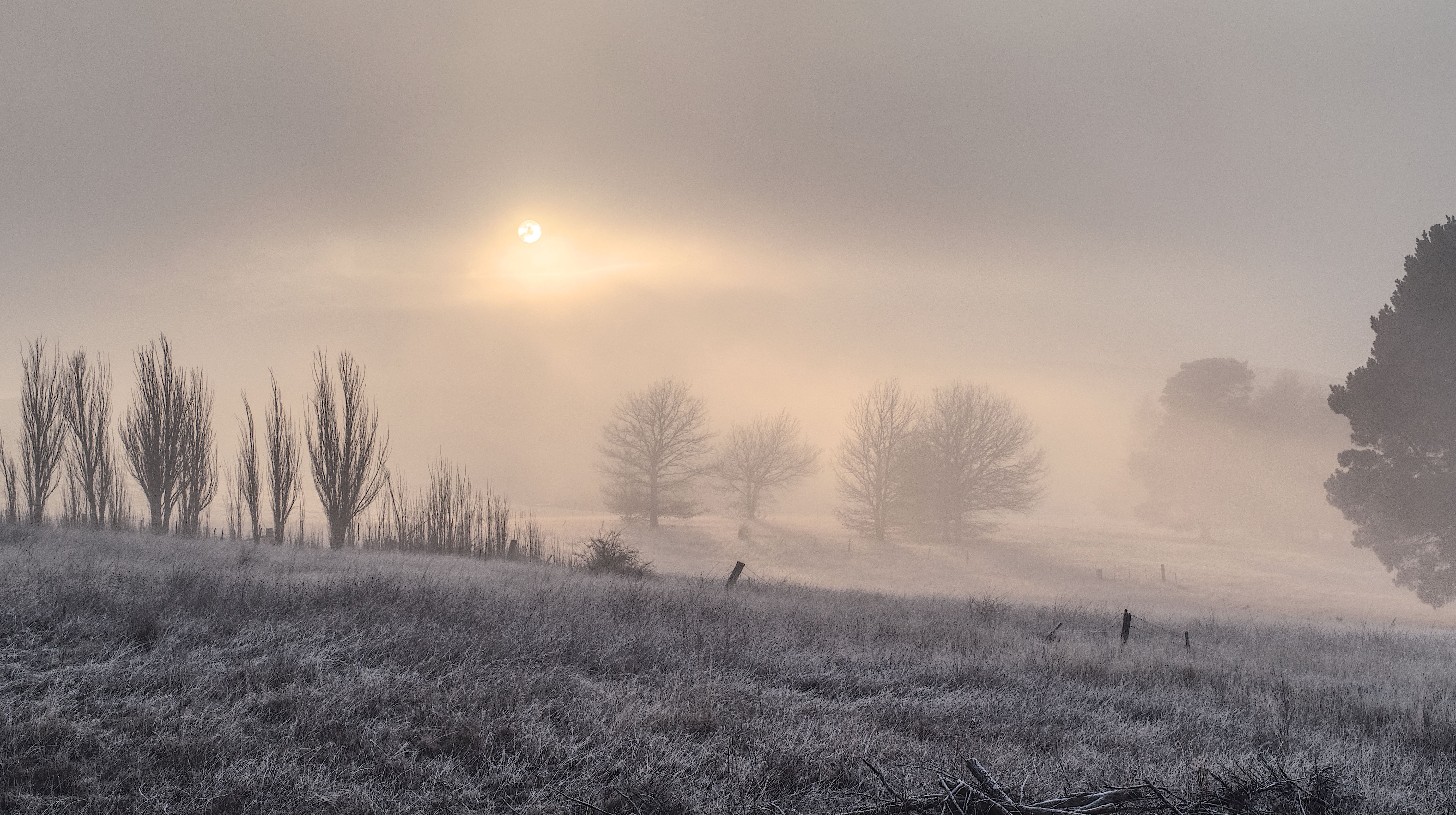 Hazy Light Photos, Download The BEST Free Hazy Light Stock Photos & HD ...
