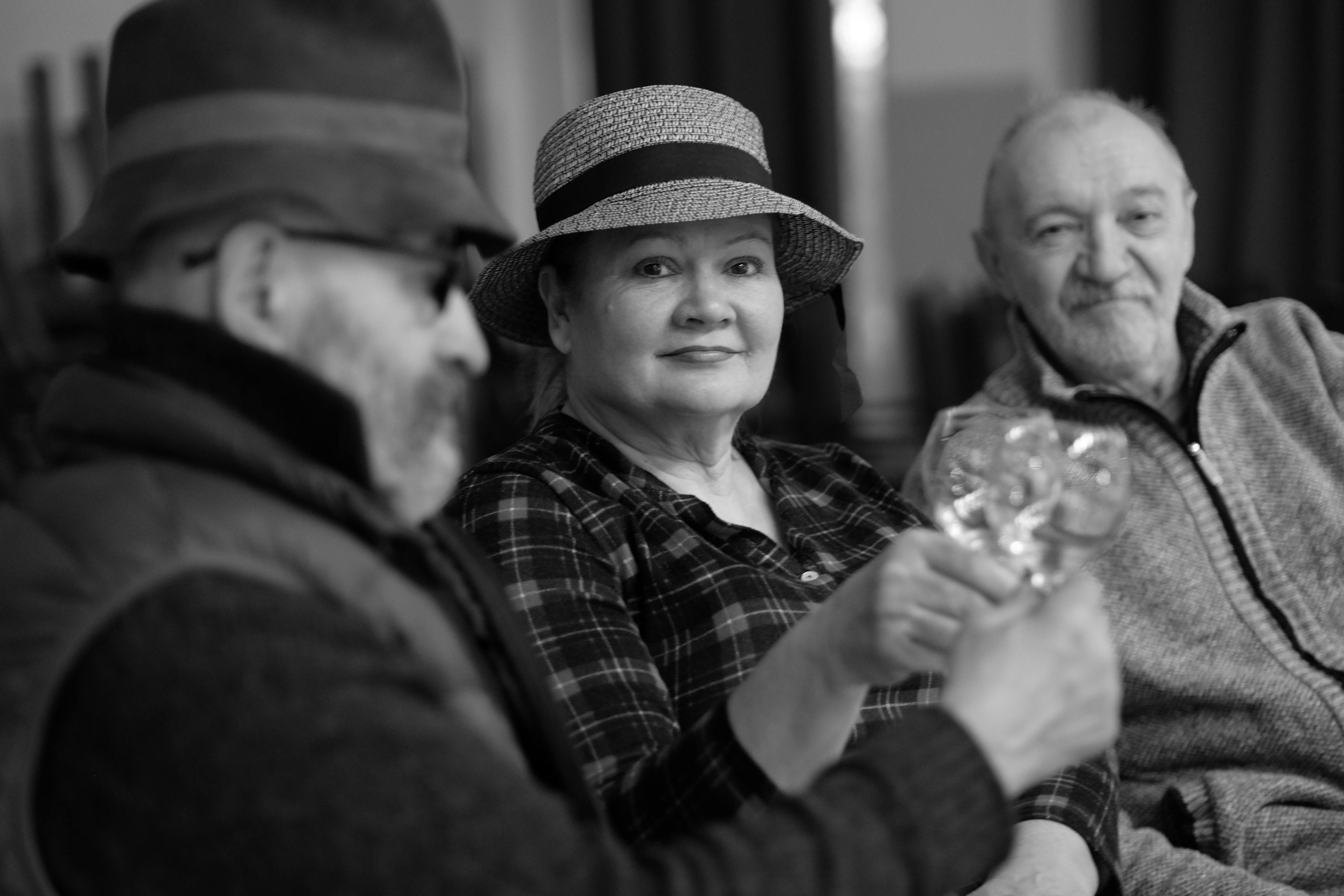 Joyous Senior Gathering with Wine Toast · Free Stock Photo