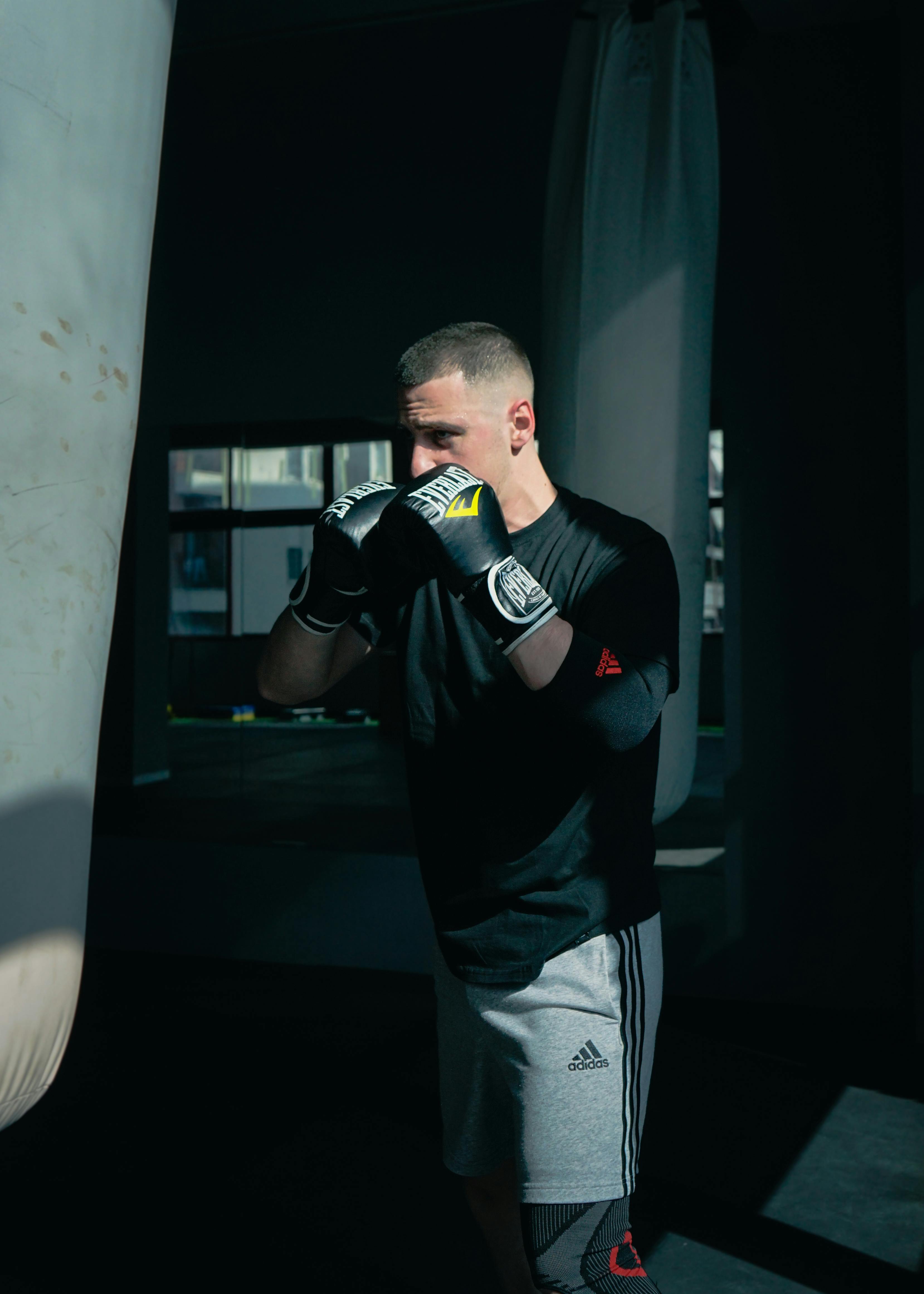 Anatomy Of Boxer Photos, Download The BEST Free Anatomy Of Boxer Stock ...