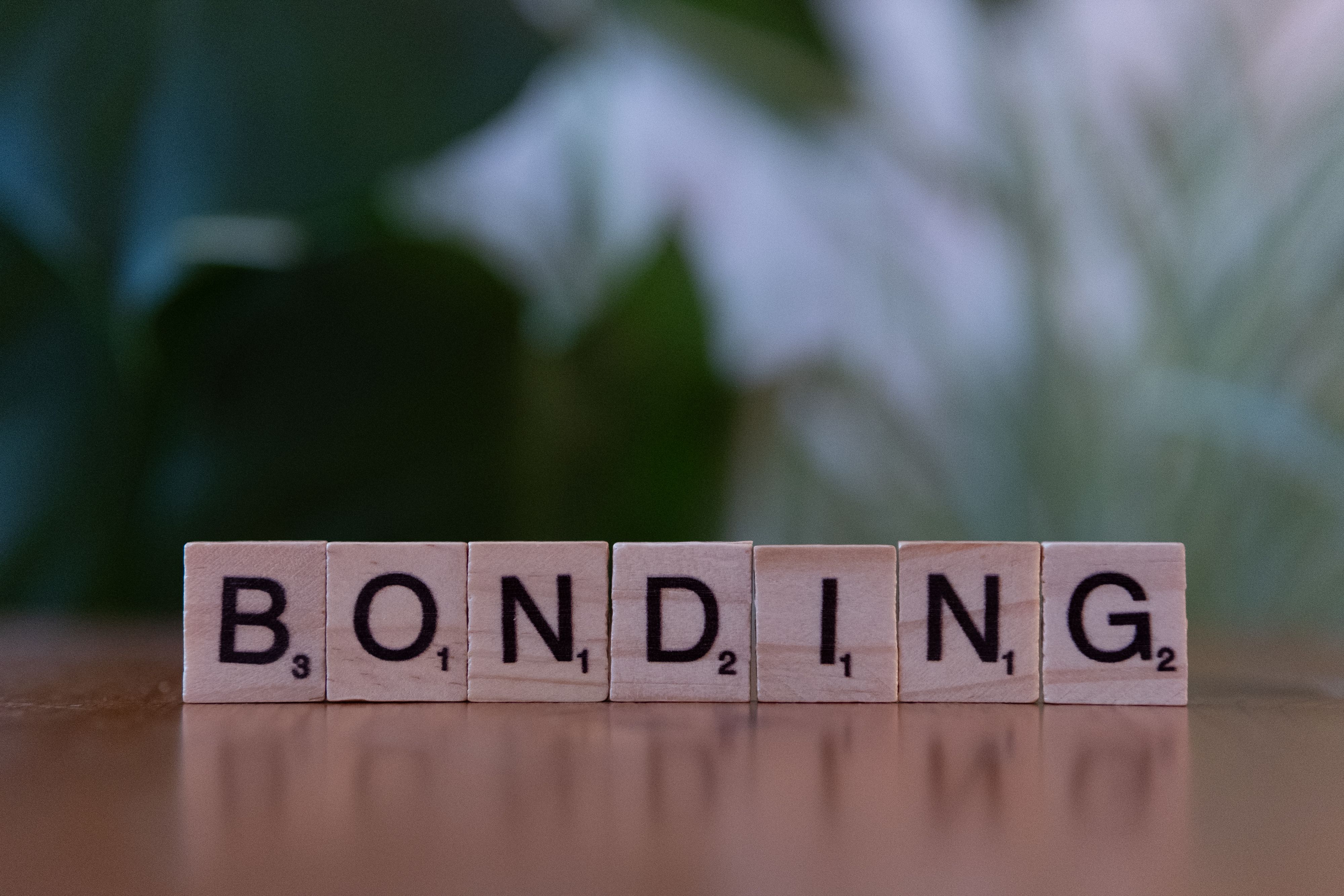 Wooden Letter Tiles Spelling "Bonding" on Table · Free Stock Photo