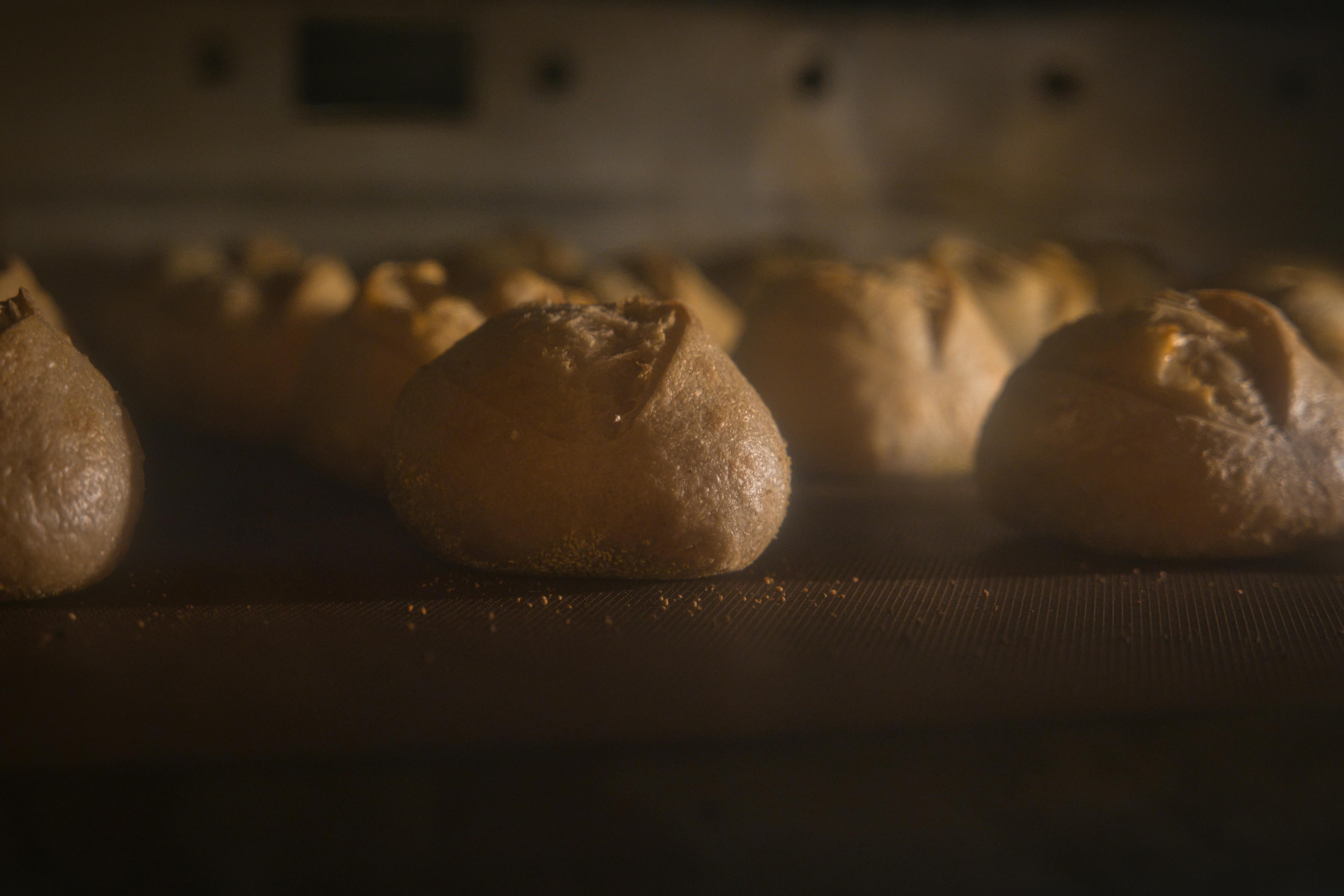 Fresh Artisan Bread Baking in Berlin Bakery · Free Stock Photo