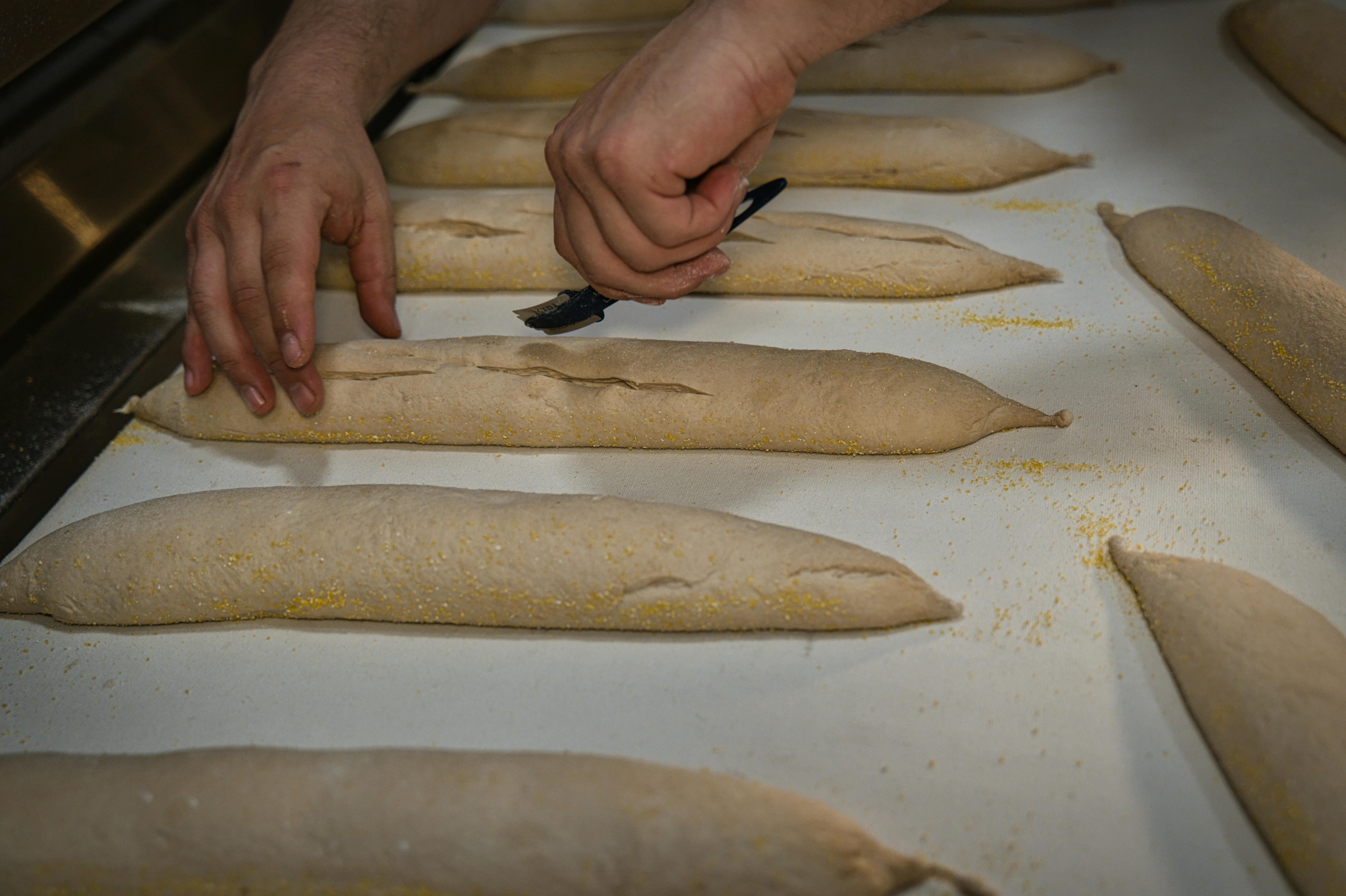 Artisan Bread Making Process in Berlin Bakery · Free Stock Photo