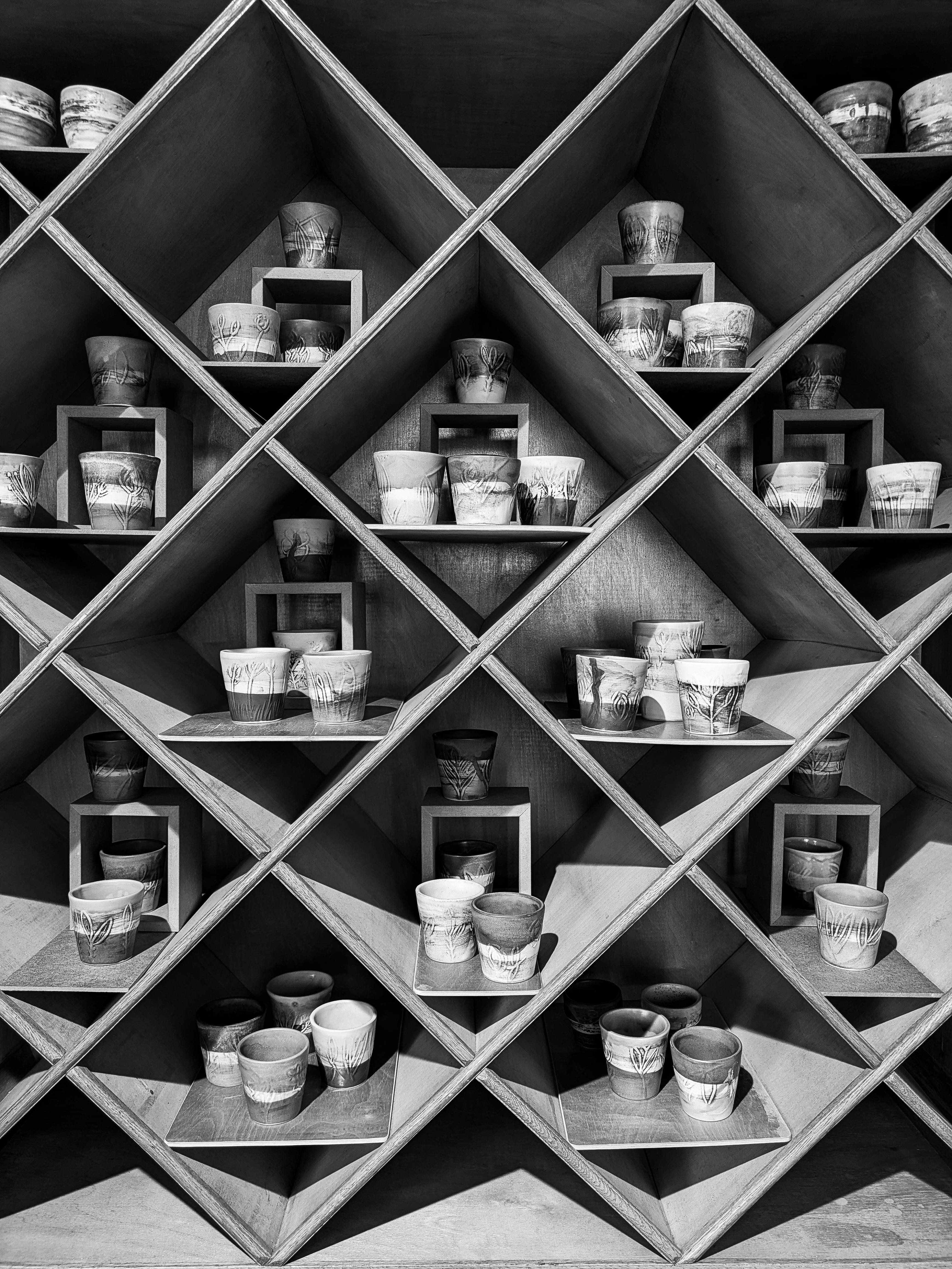 Diamond Shaped Fish Photos, Download The BEST Free Diamond Shaped Fish ...