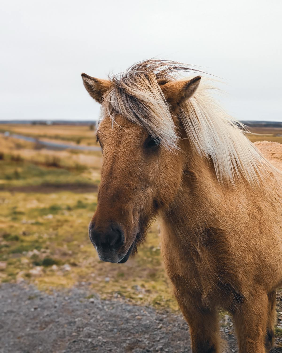 Free Pick Photos, Download The BEST Free Free Pick Stock Photos & HD Images