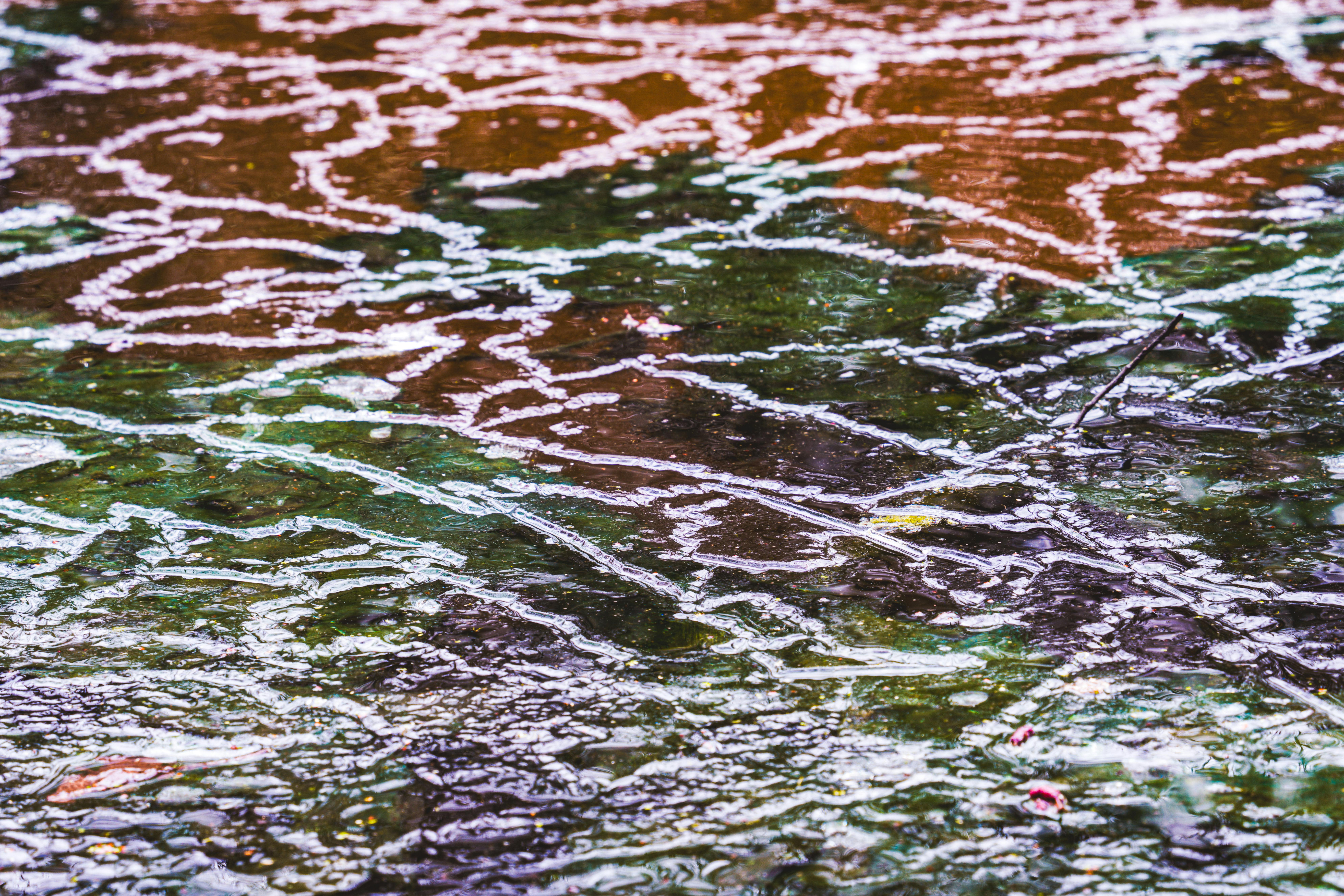 Damir K. - การถ่ายภาพ