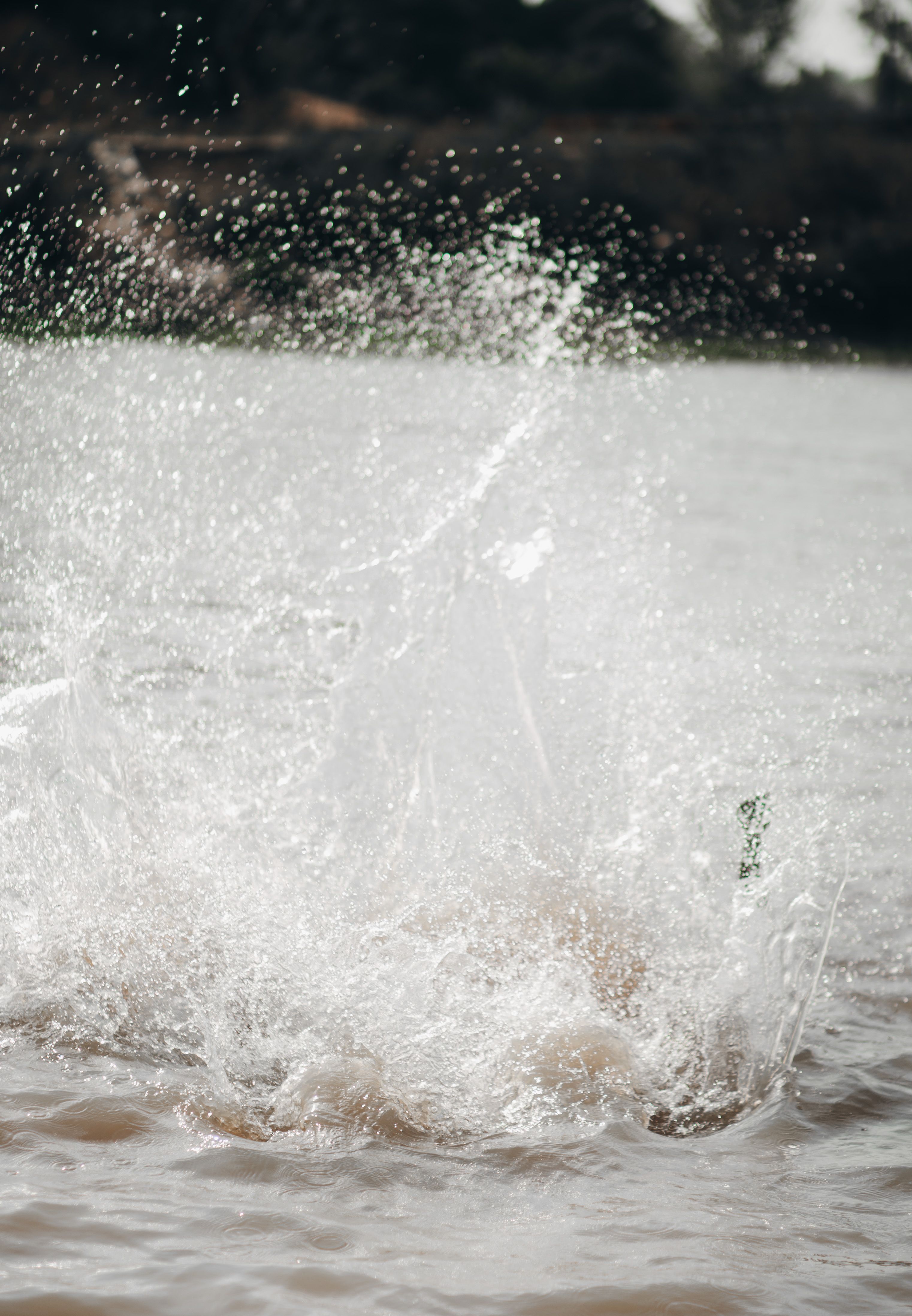 Dramatic Water Splash Captured Outdoors · Free Stock Photo