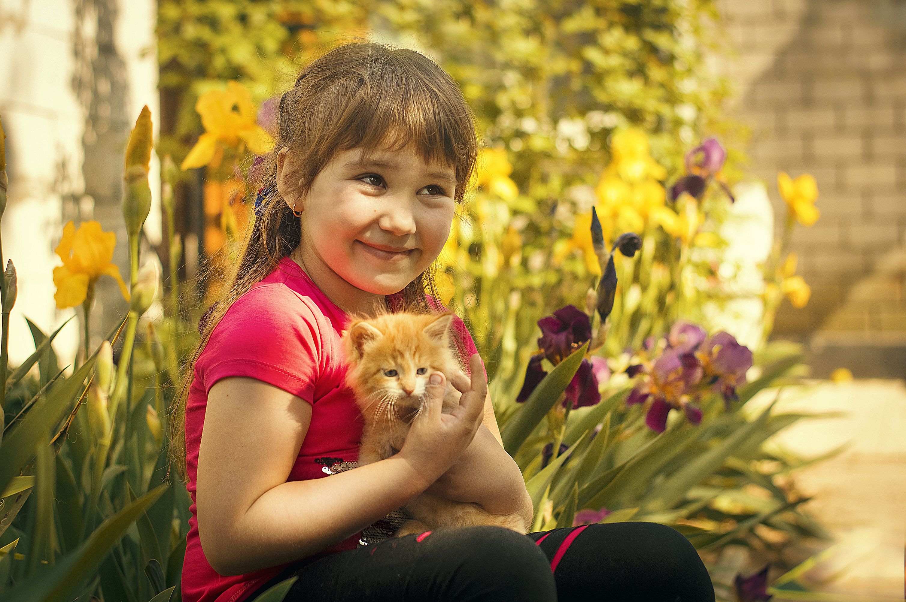 Cute Deepseek Photos, Download The BEST Free Cute Deepseek Stock Photos ...