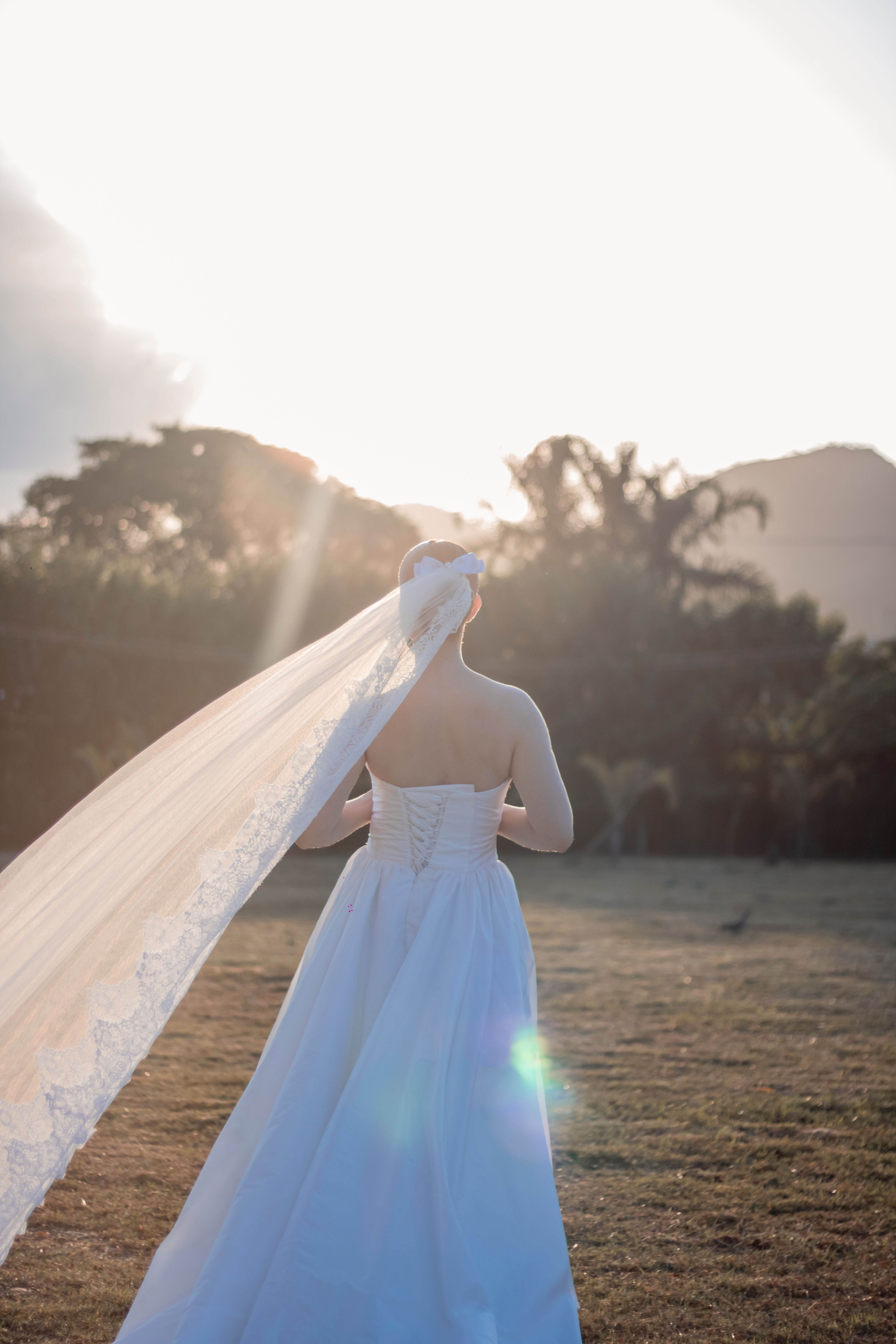 Beautiful Backlit Bride with Flowing Veil Outdoors · Free Stock Photo