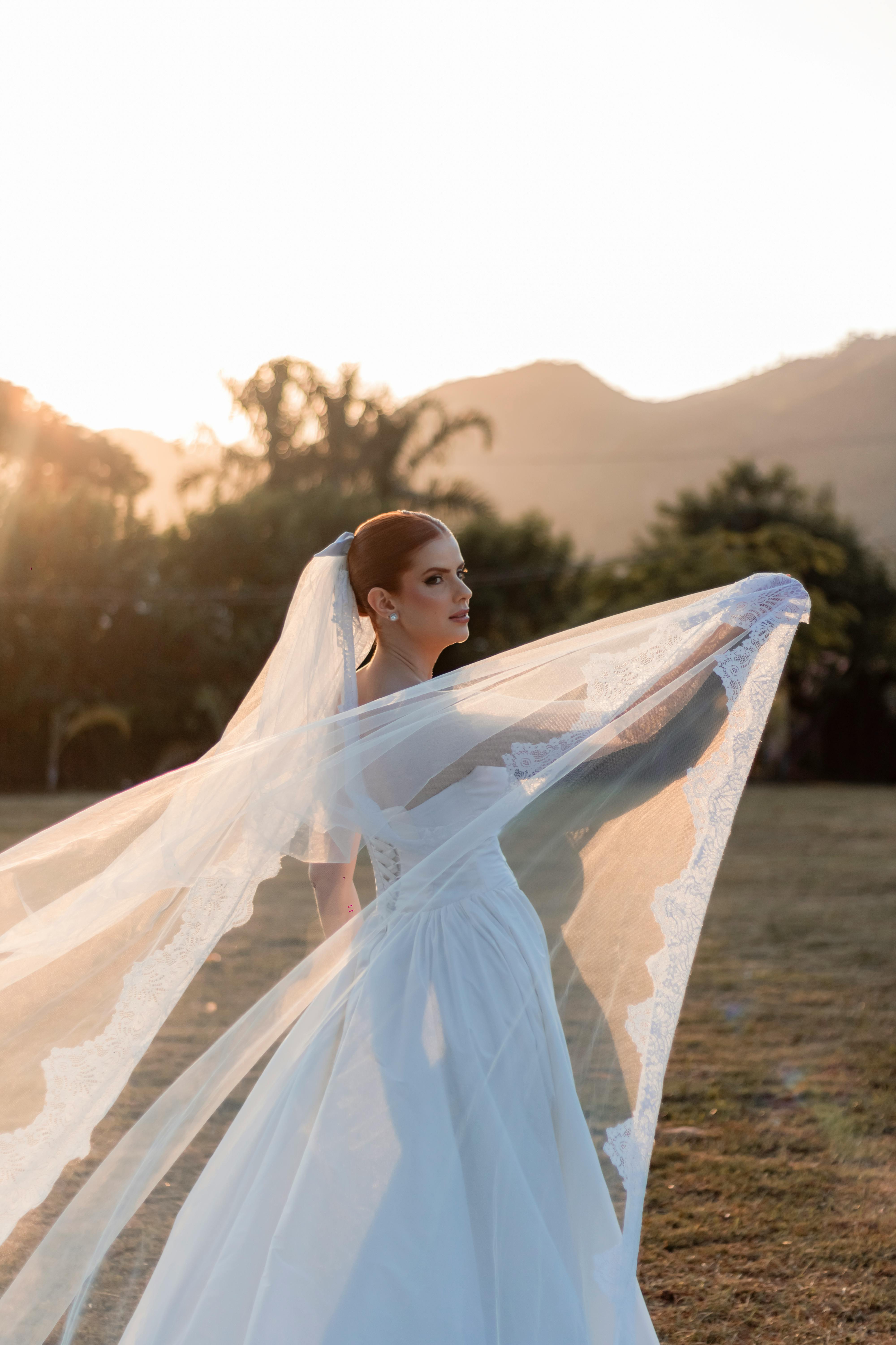 Foto de stock gratuita sobre al aire libre, arboles, belleza, belleza ...