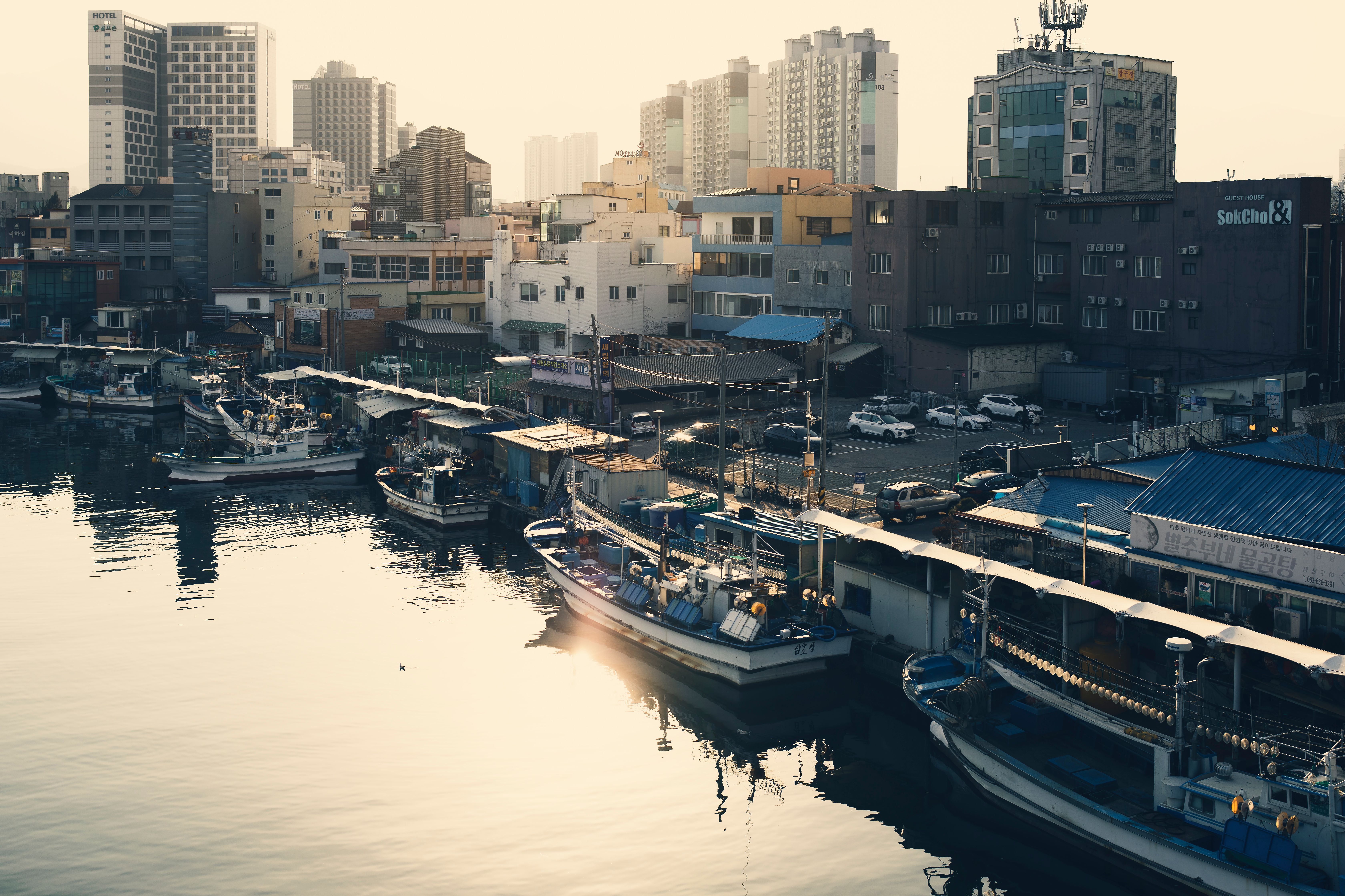 Scenic Urban Harbor at Sunset · Free Stock Photo