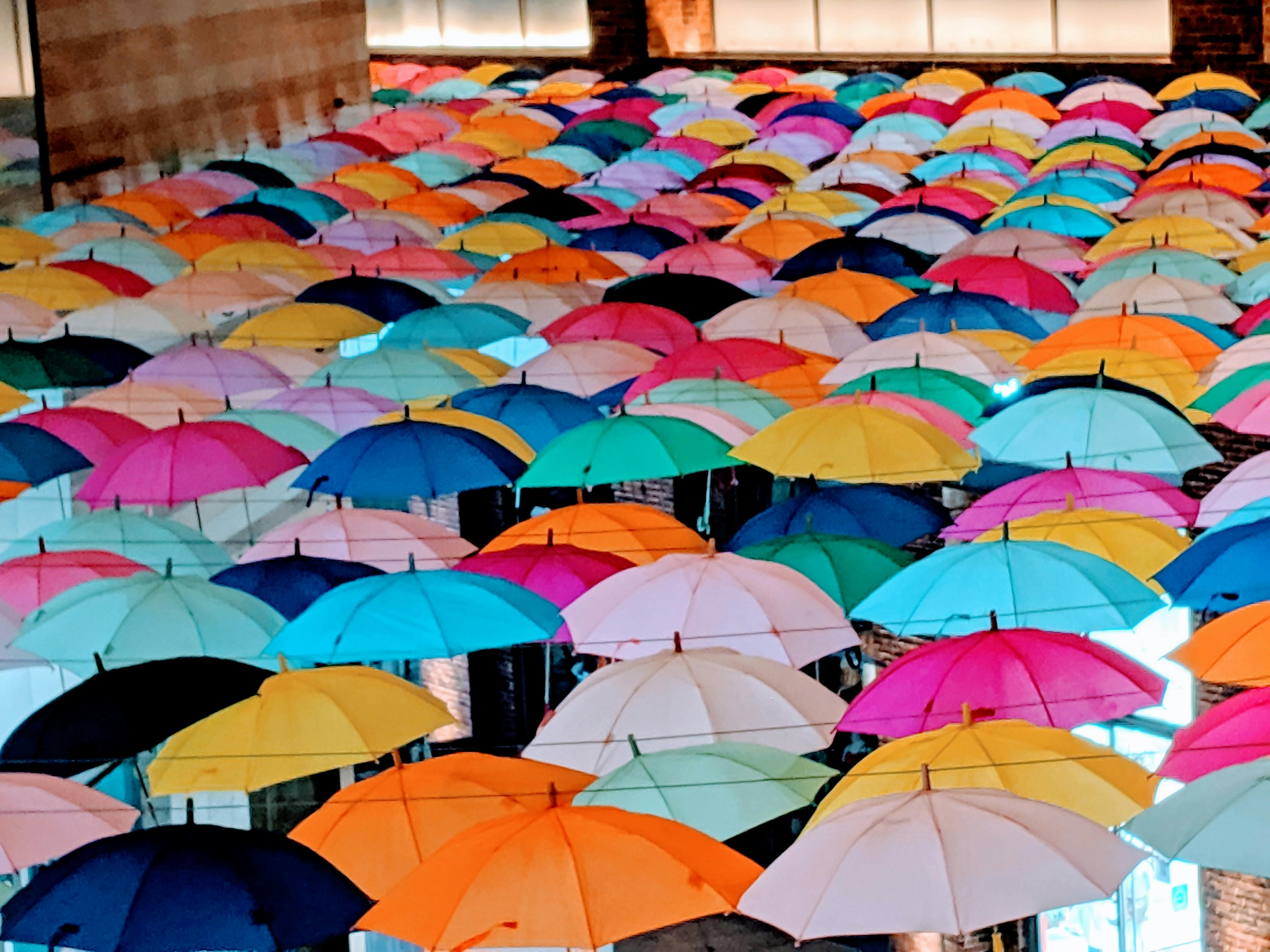 Frank's Mexico 15 Photos & Videos Collected by Frank Rojas