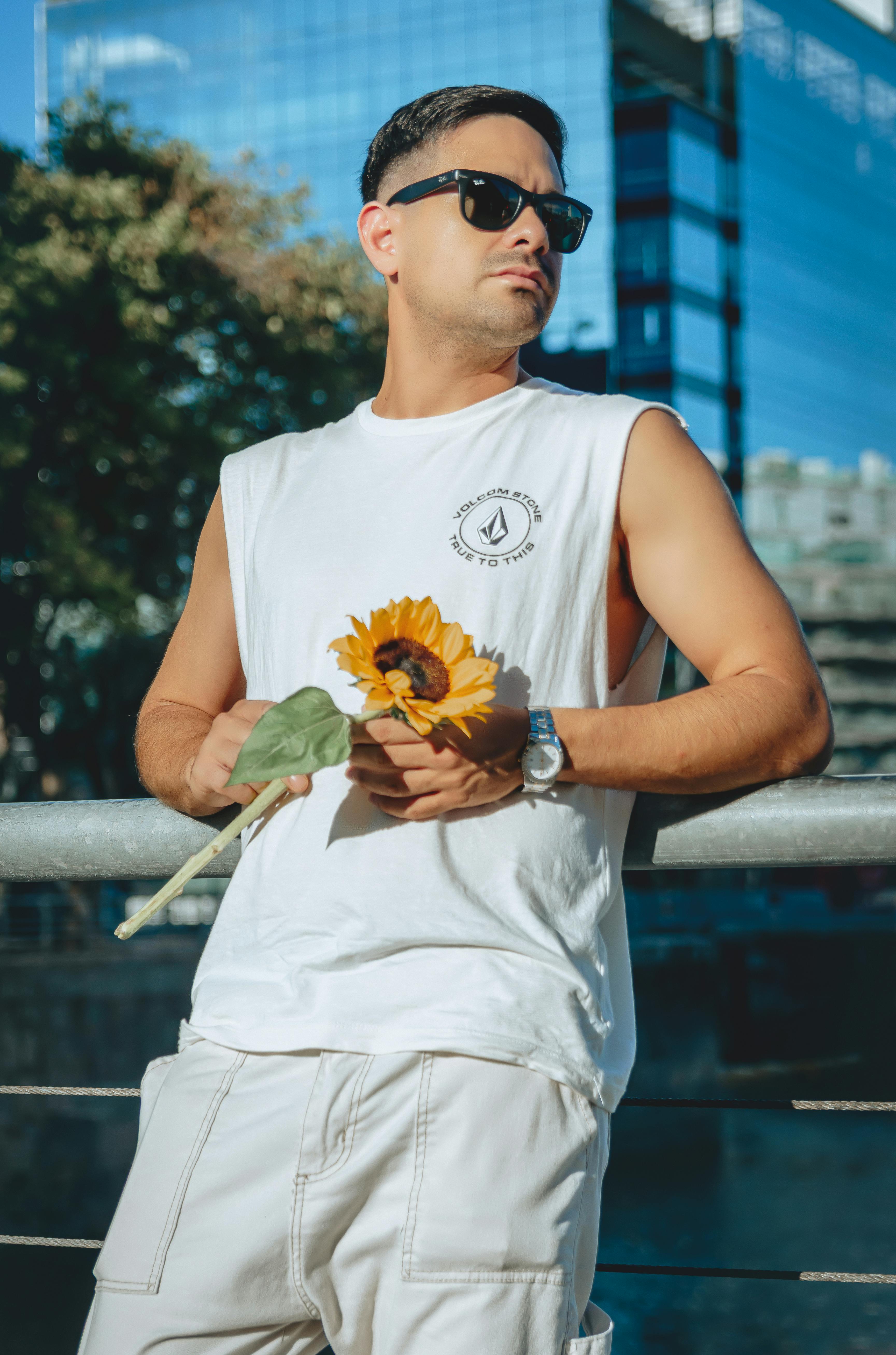 Sunflower+Billboard Photos, Download The BEST Free Sunflower+Billboard ...