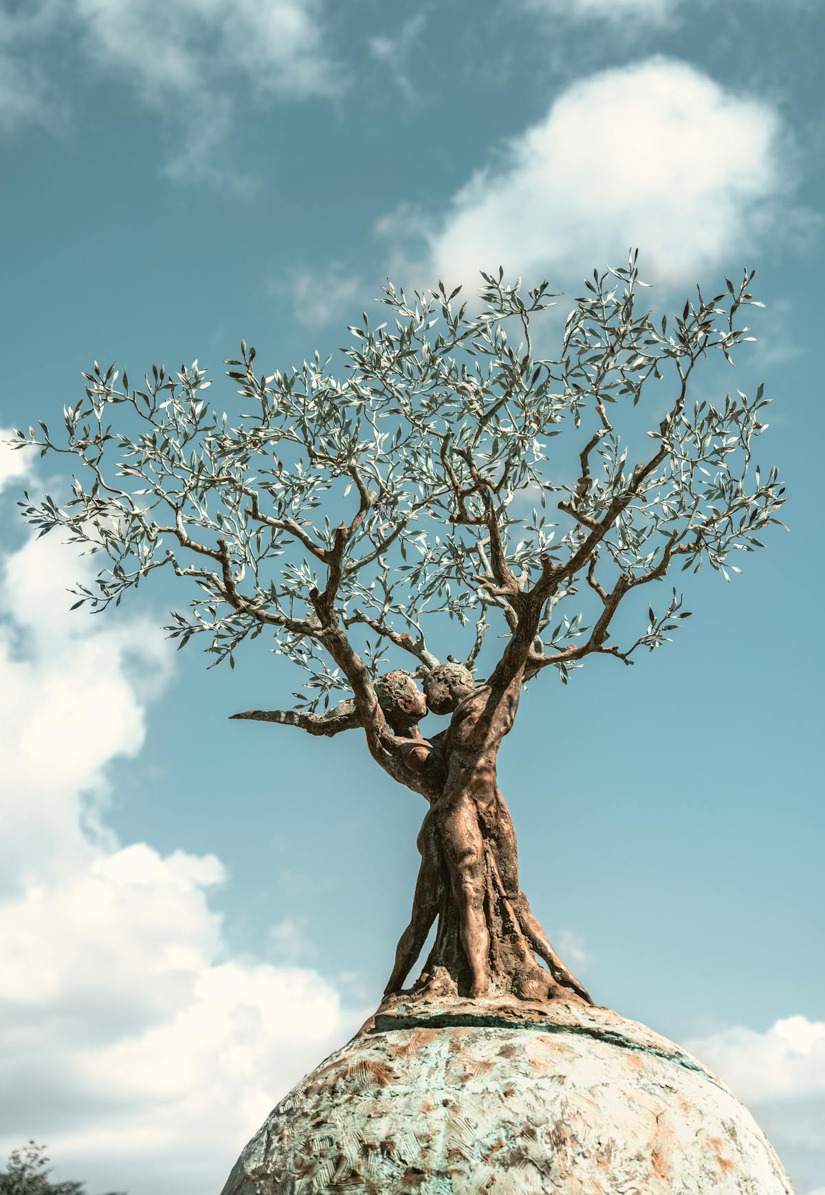 Tree Of Life Photos, Download The BEST Free Tree Of Life Stock Photos ...