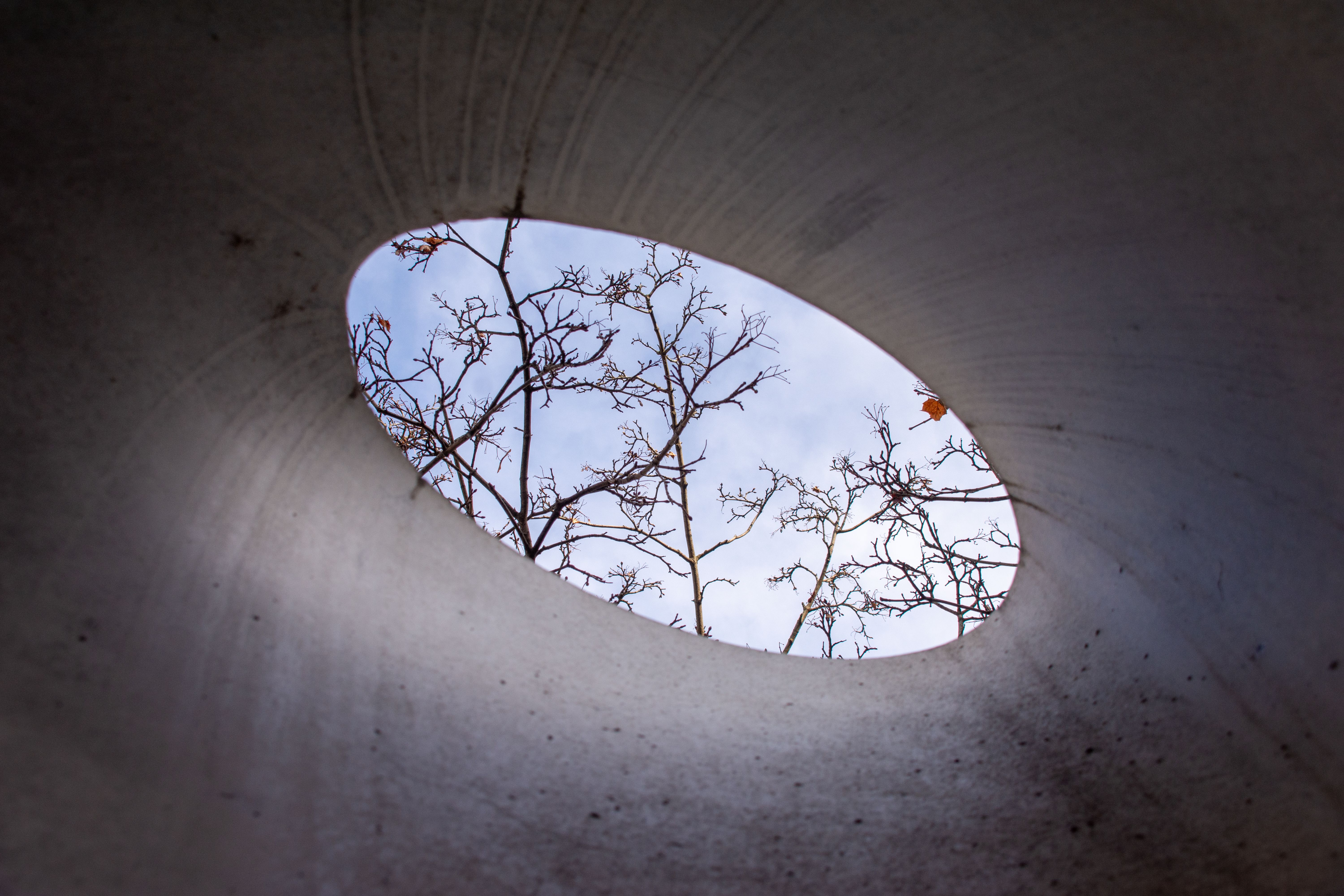 Circular Transition Photos, Download The BEST Free Circular Transition ...