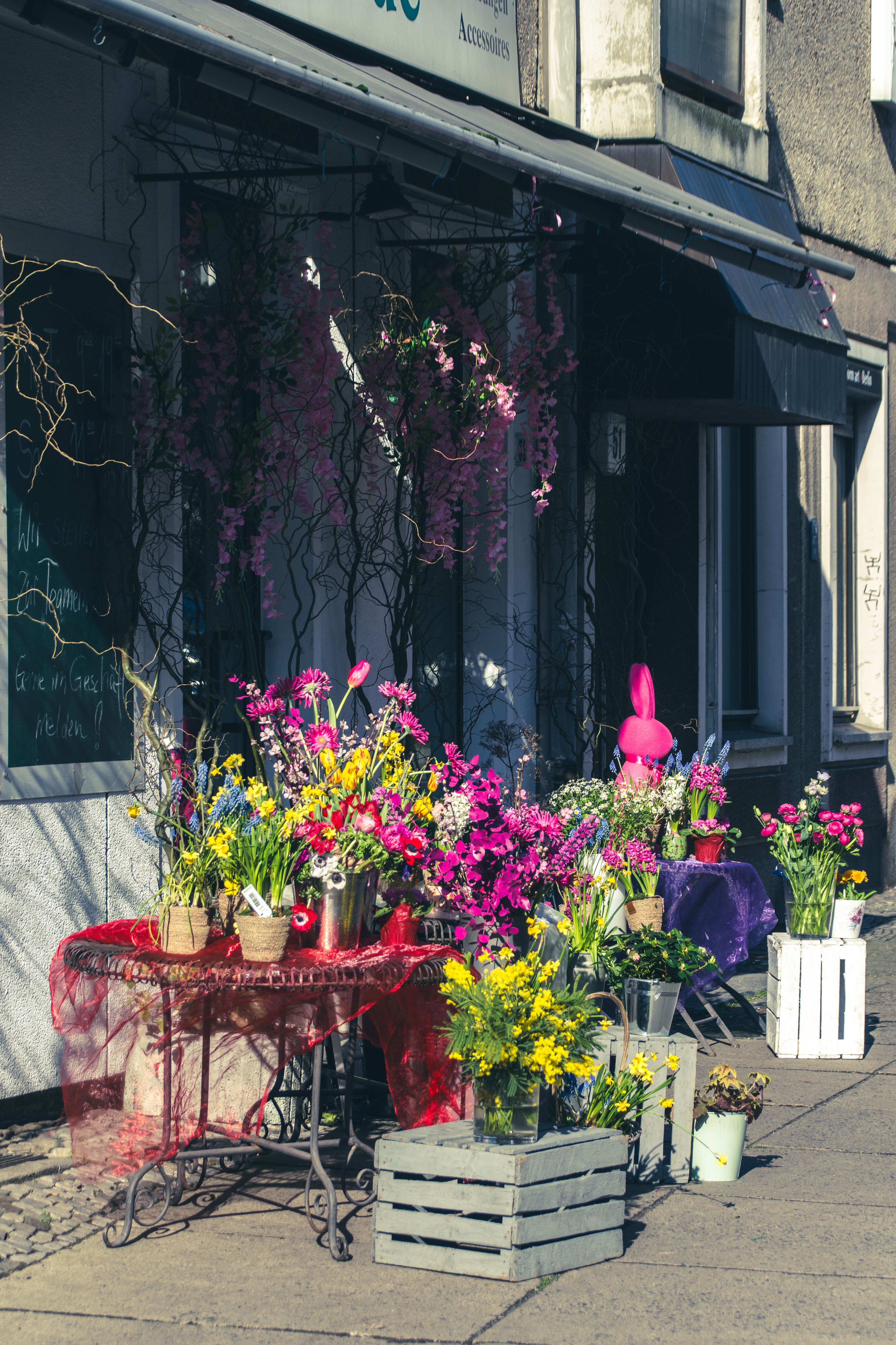 Colorful Flower Display Outside a Shop · Free Stock Photo