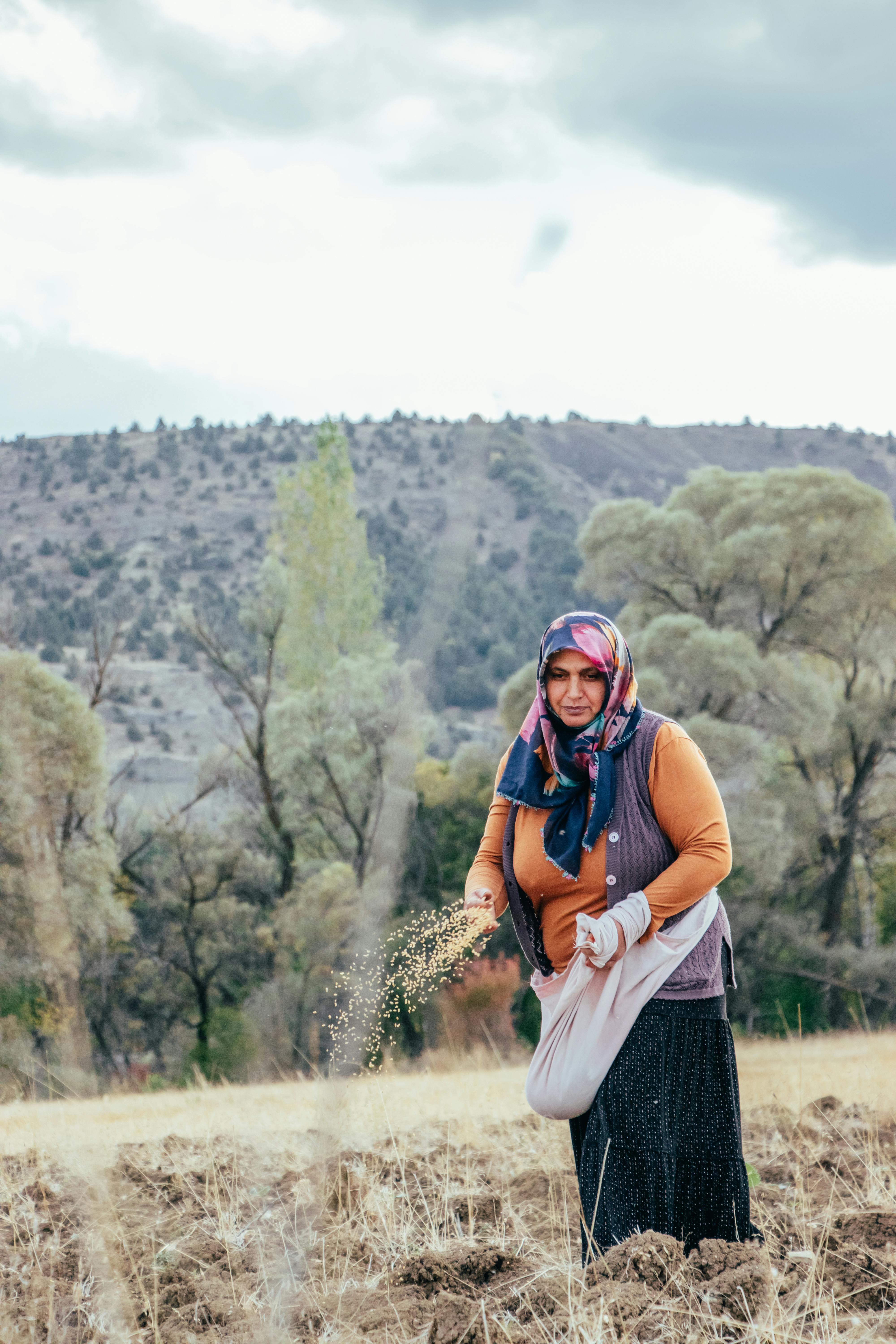 Traditional Farming in Gümüşhane, Türkiye · Free Stock Photo