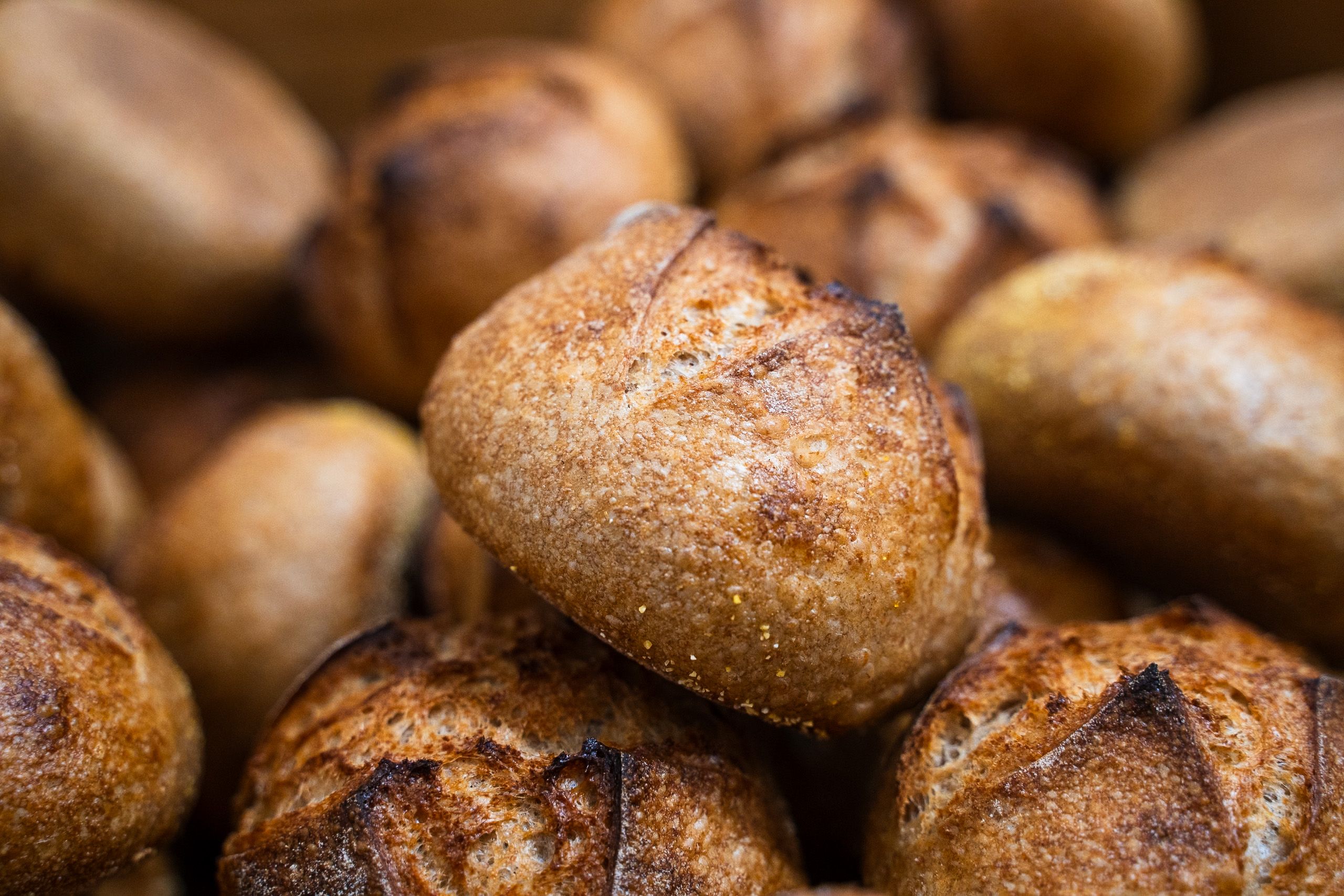 Close-up of Freshly Baked Artisan Bread Rolls · Free Stock Photo