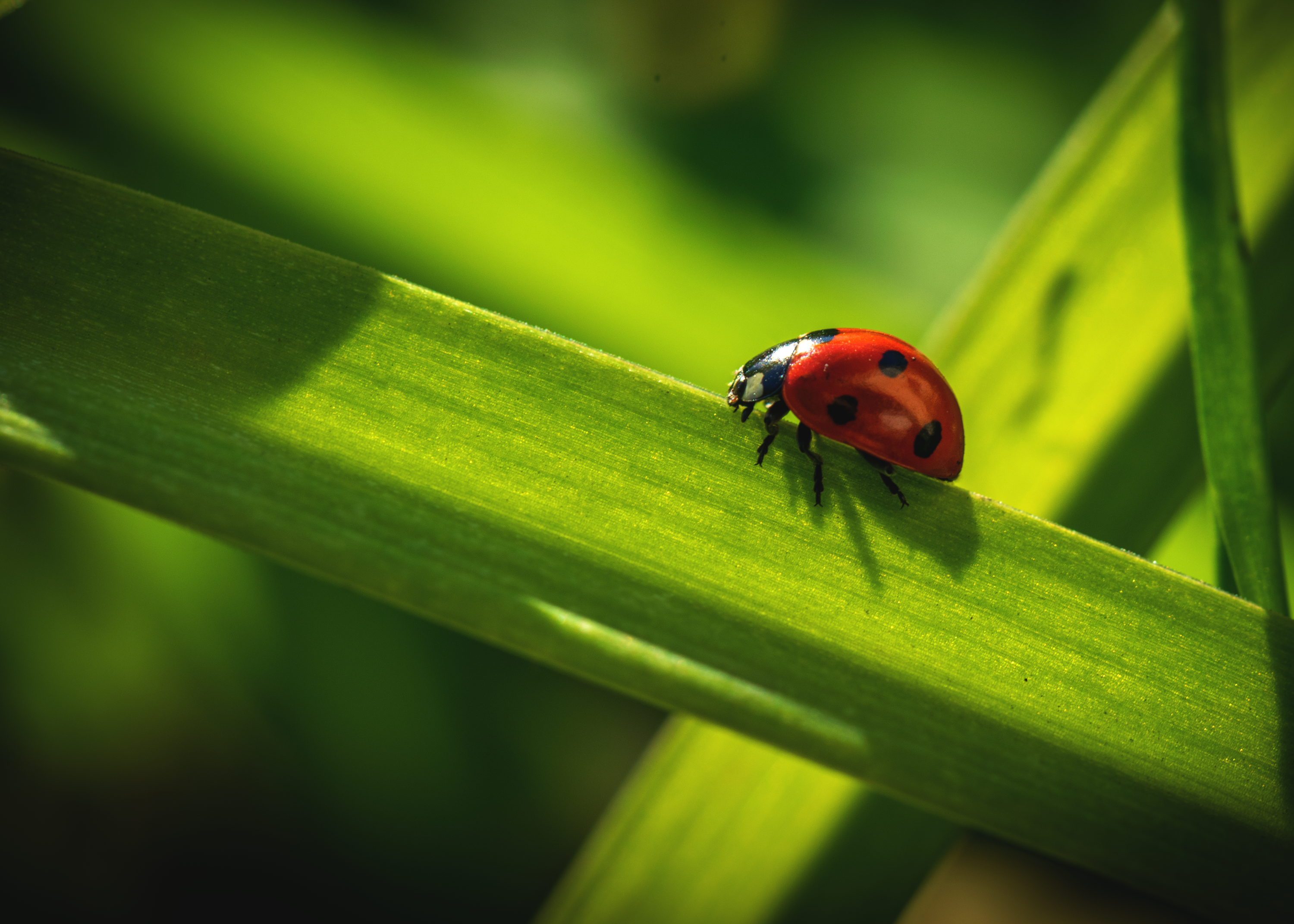 Very+Nice Photos, Download The BEST Free Very+Nice Stock Photos & HD Images