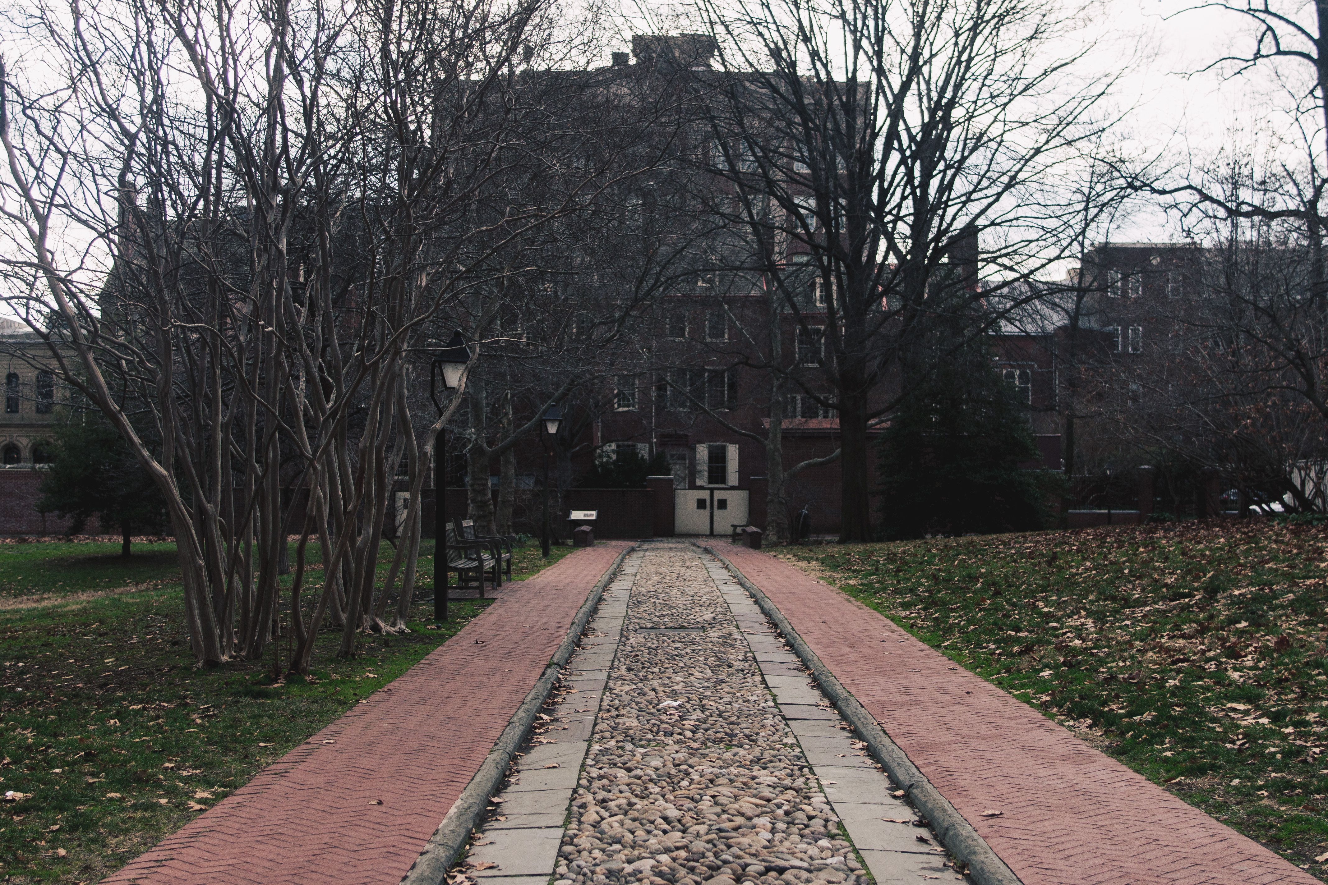 Quiet Urban Pathway in Early Spring Park · Free Stock Photo