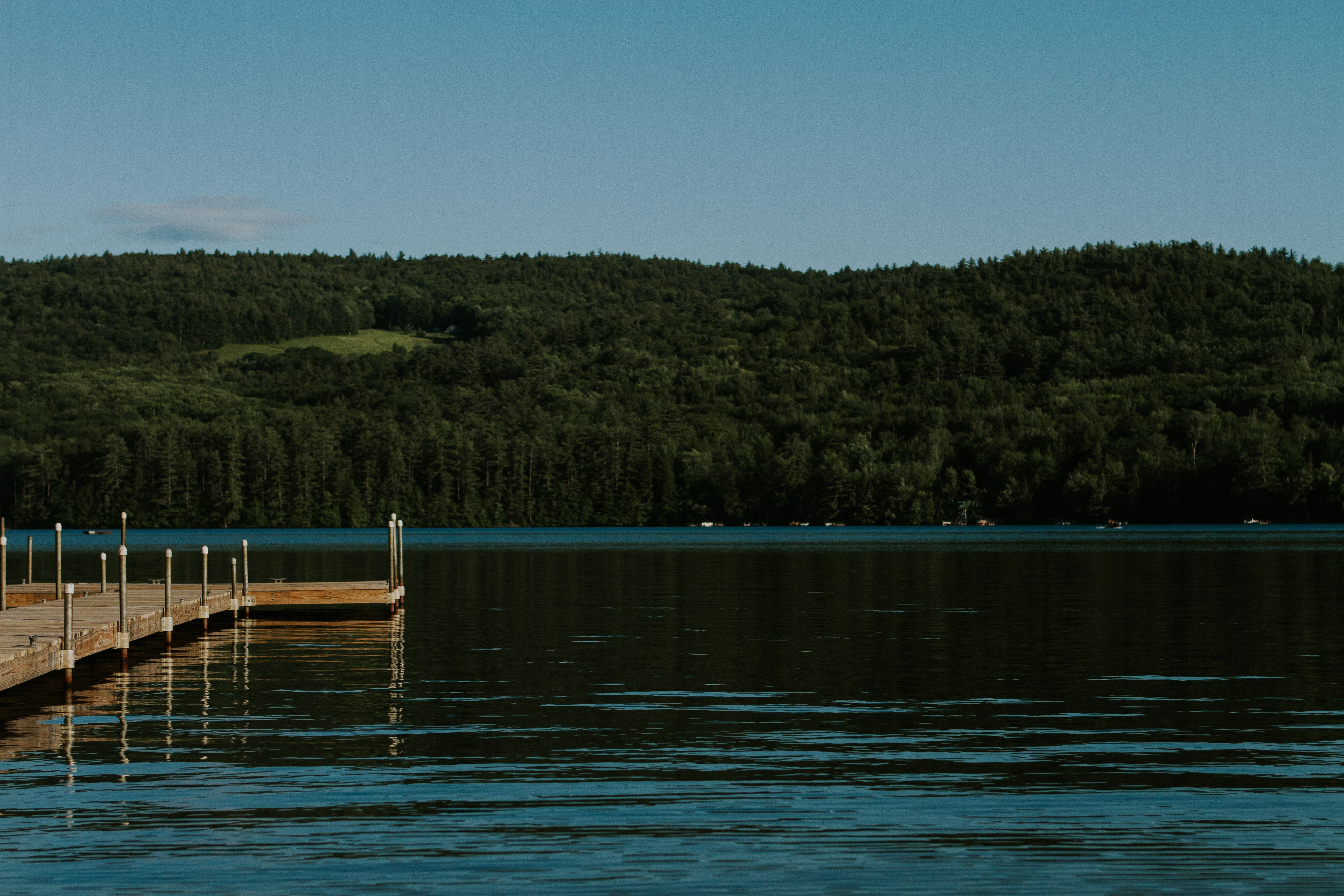 Serene Lake Dock with Verdant Forest View · Free Stock Photo