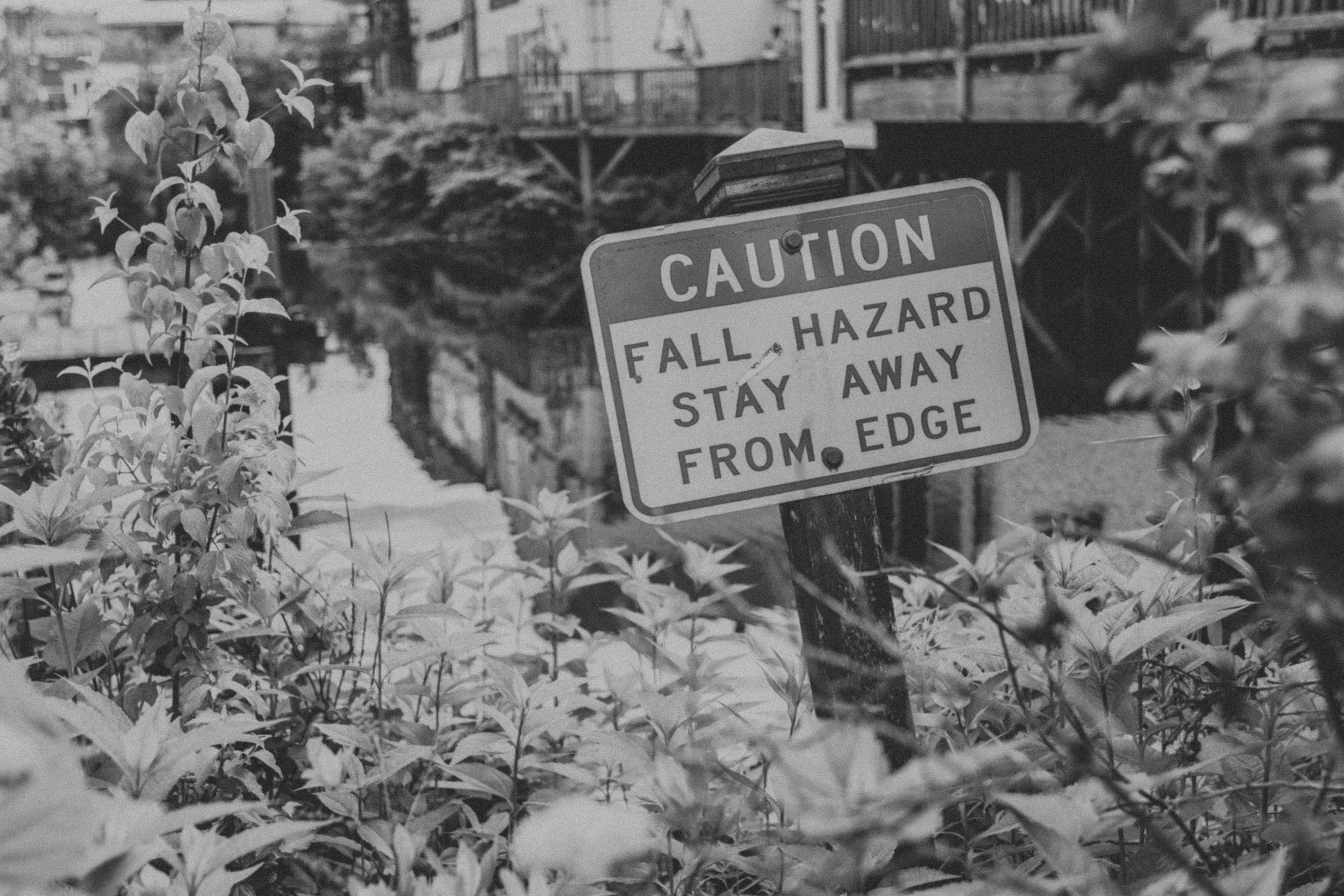 Silueta De Peril Photos, Download The BEST Free Silueta De Peril Stock ...