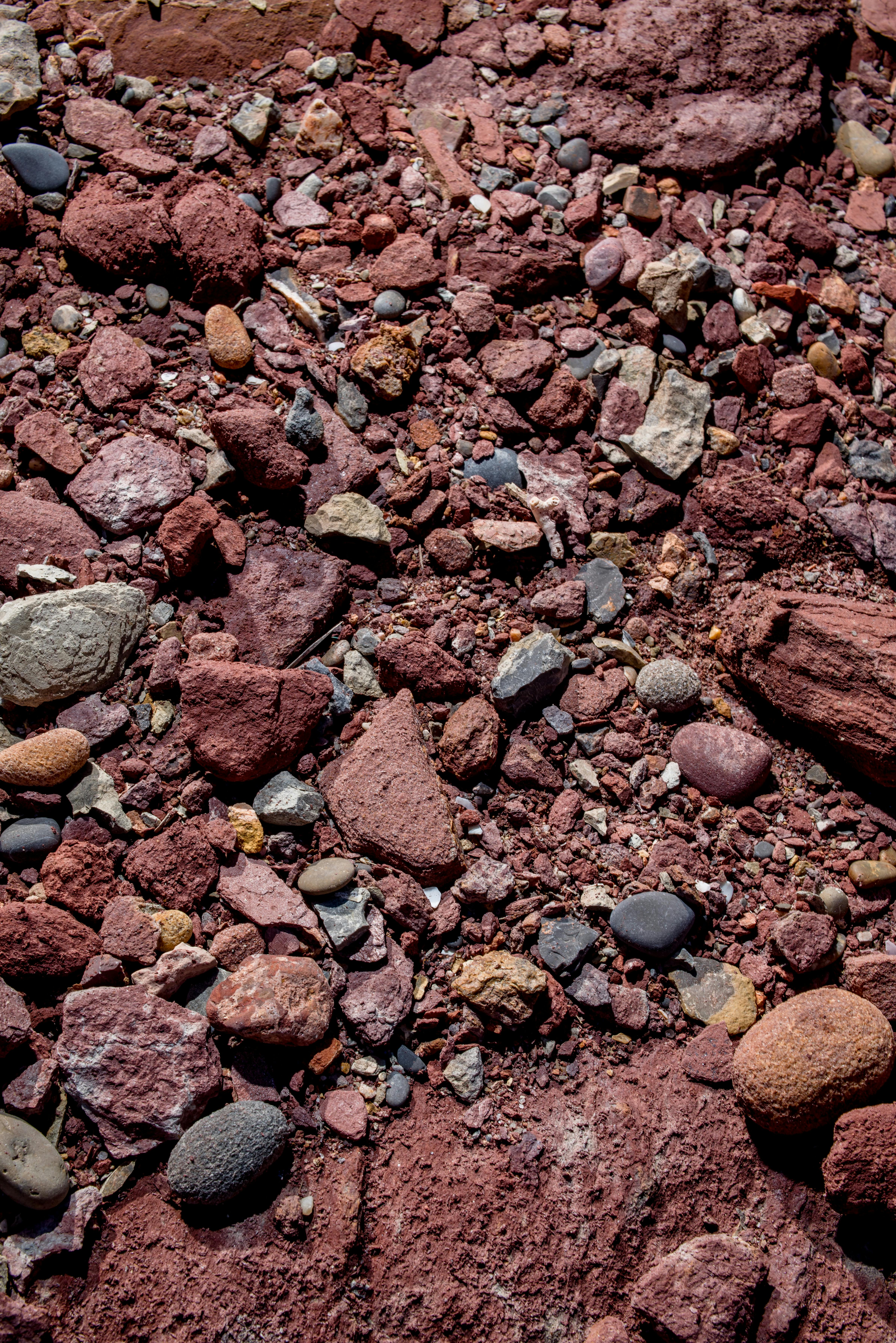 Colorful Rocky Terrain with Natural Pebbles · Free Stock Photo