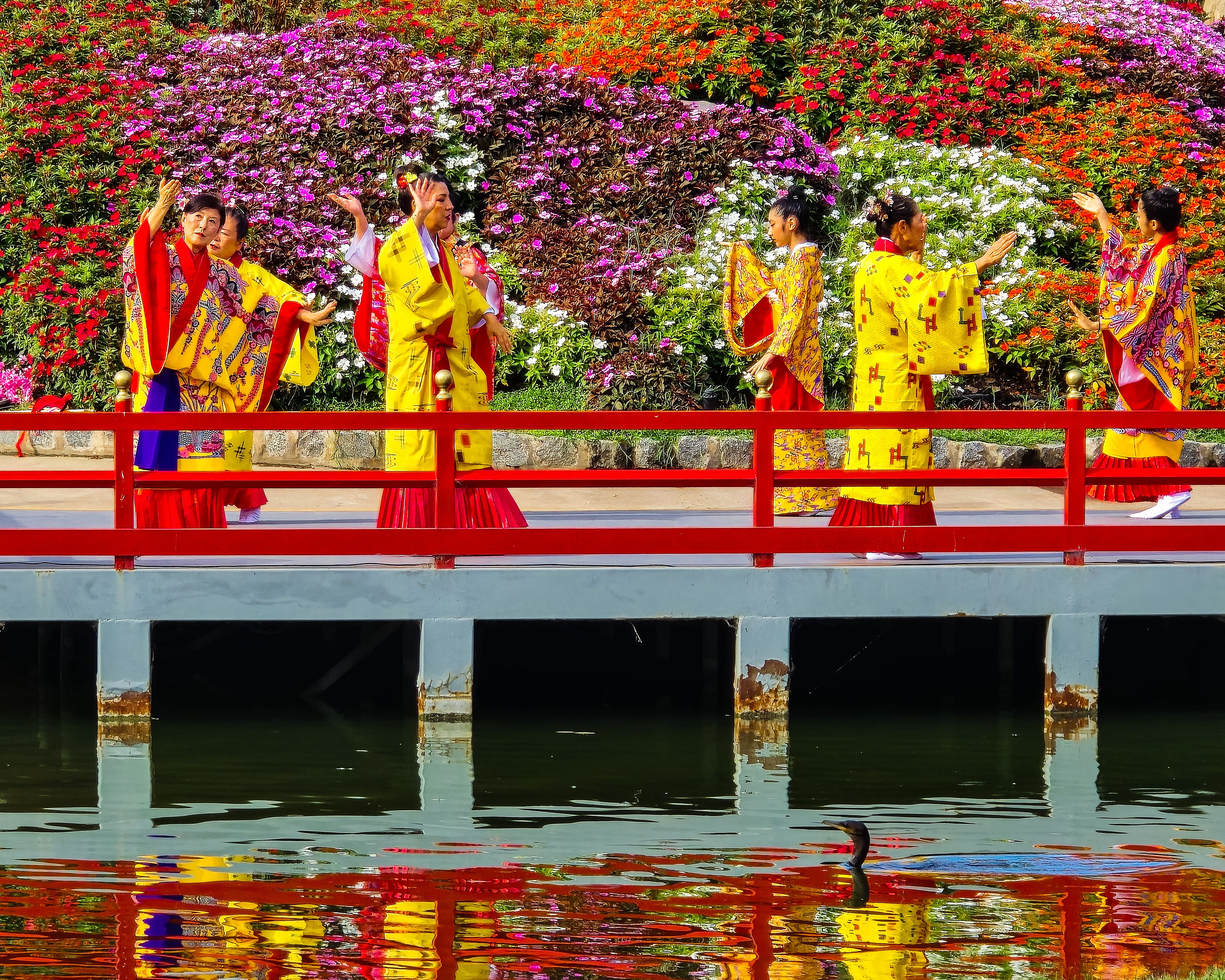 Traditional Japanese Dance Performance in Garden · Free Stock Photo
