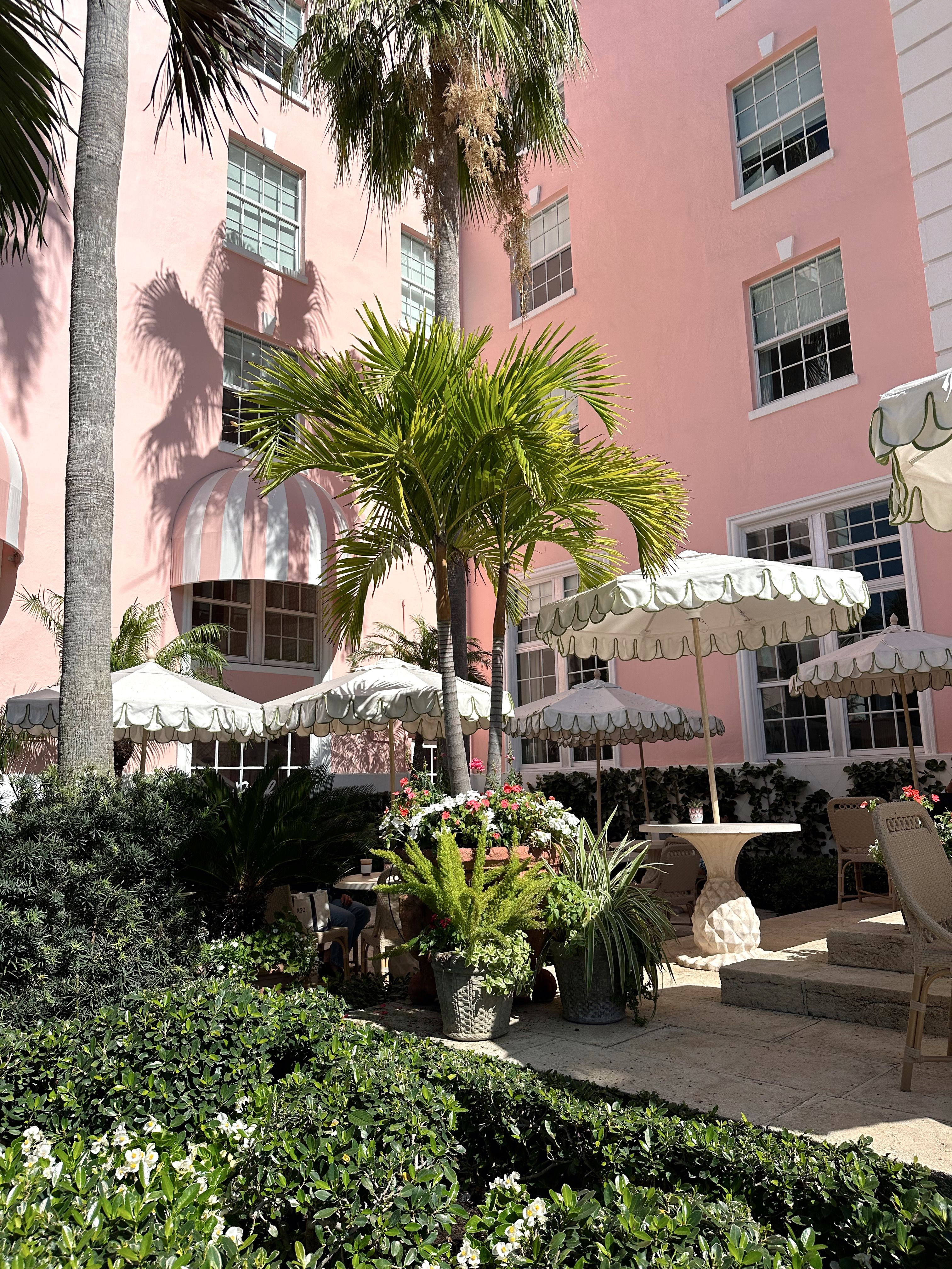 Chic Outdoor Café with Palm Trees in Pink Hotel · Free Stock Photo