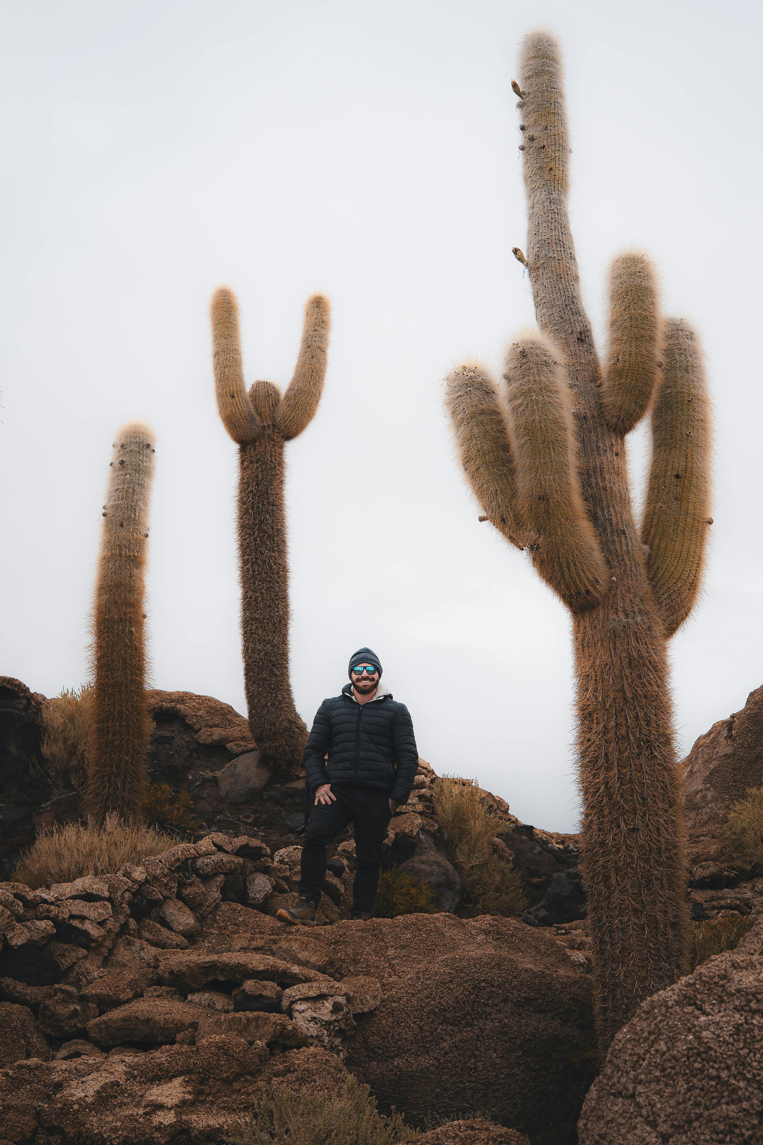 Person among Giant Cacti in Uyuni, Bolivia · Free Stock Photo