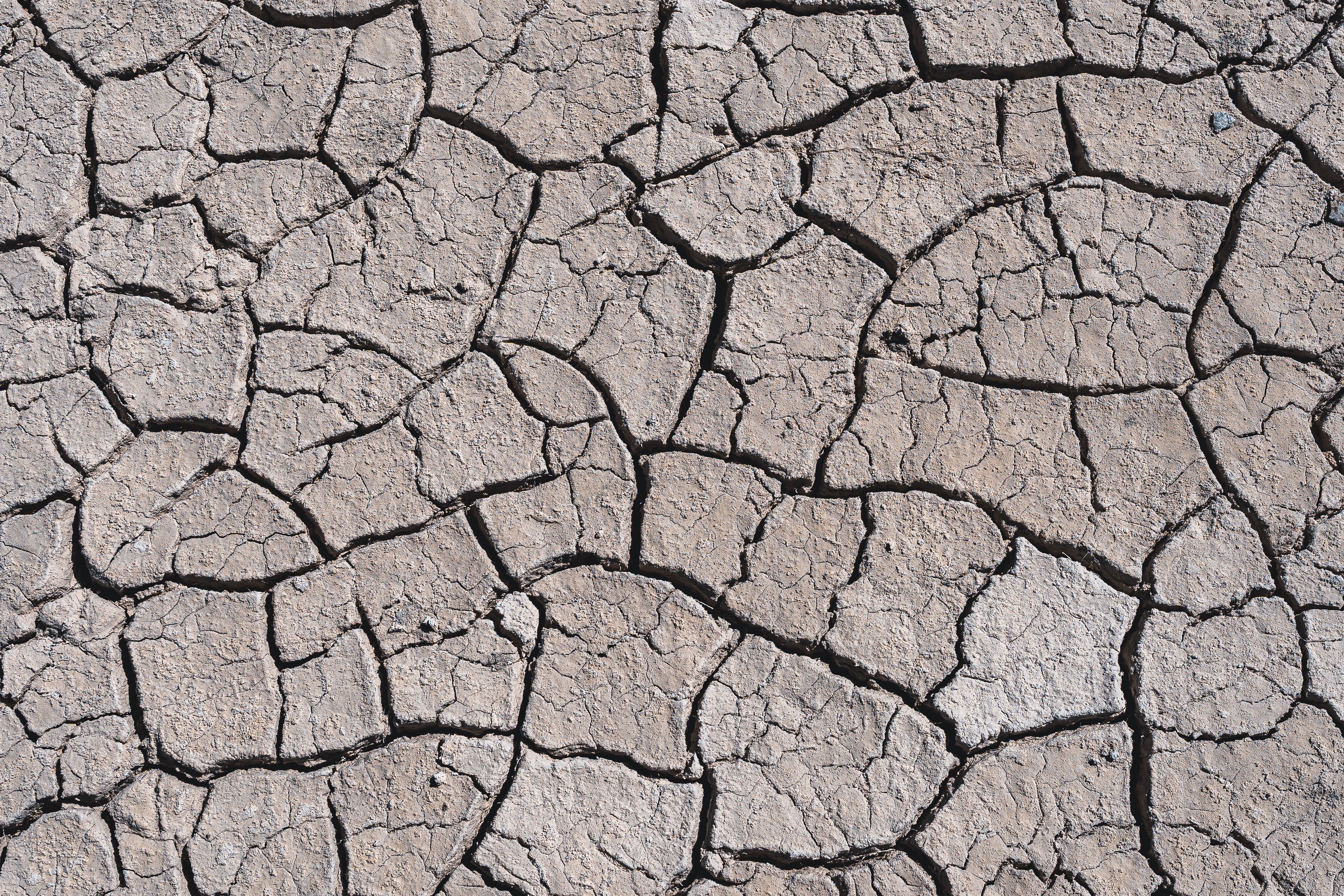 Dry cracked surface in nature · Free Stock Photo