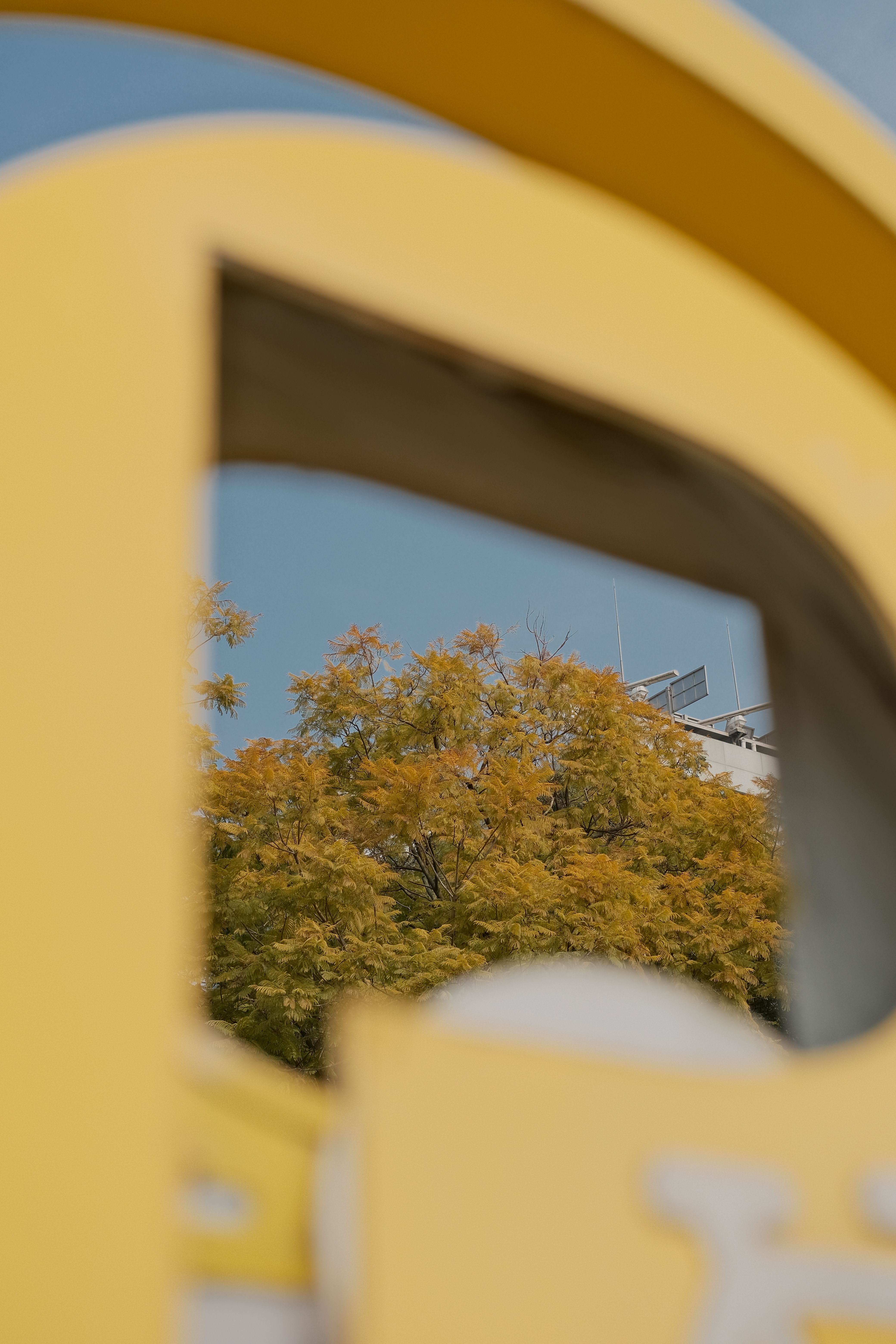 Framed Autumn Foliage Through Urban Installation · Free Stock Photo