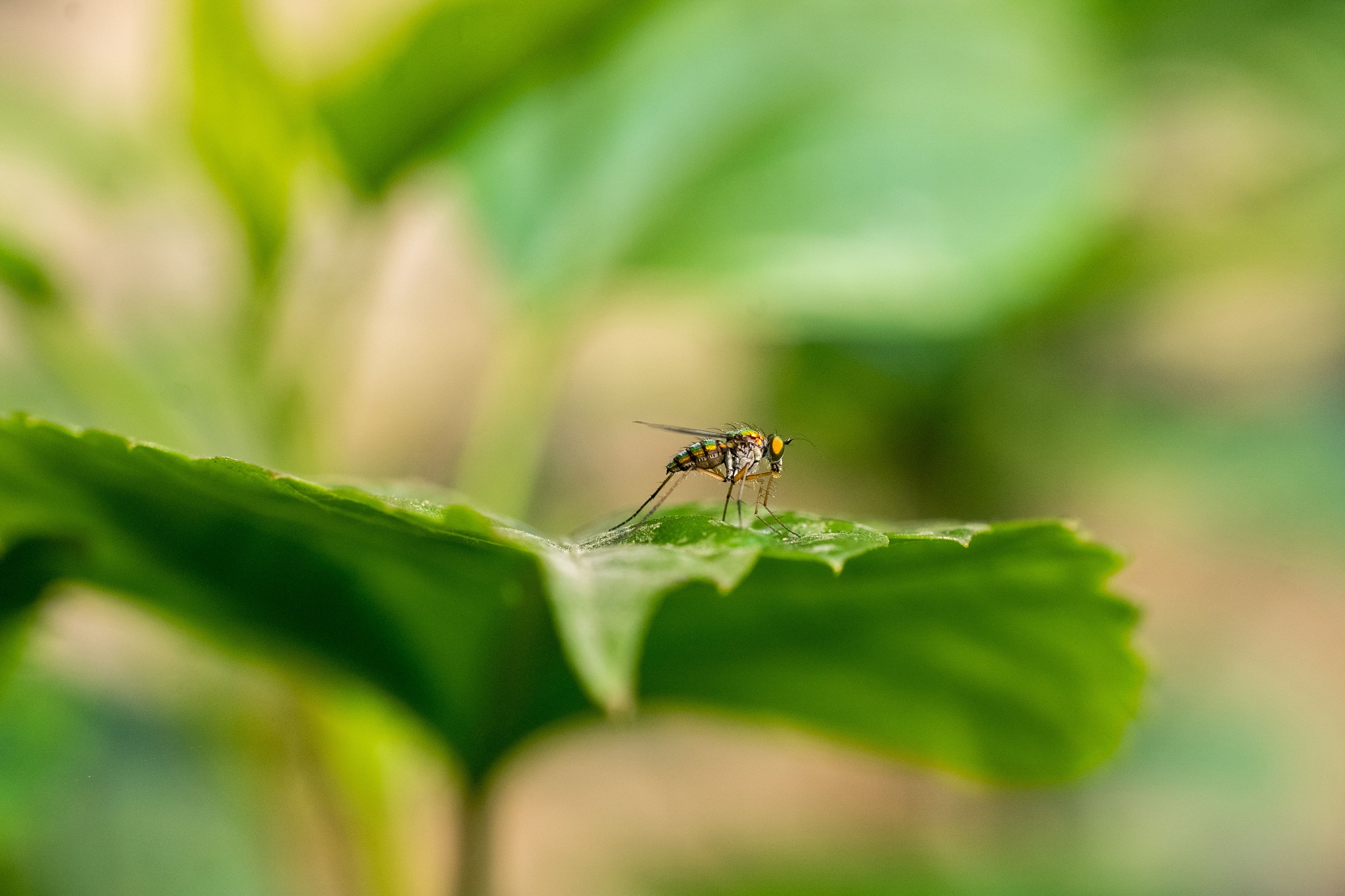 4.000+ Foto Zoom ビデオ 壁紙 Terbaik · Unduh Gratis 100% · Foto Stok Pexels