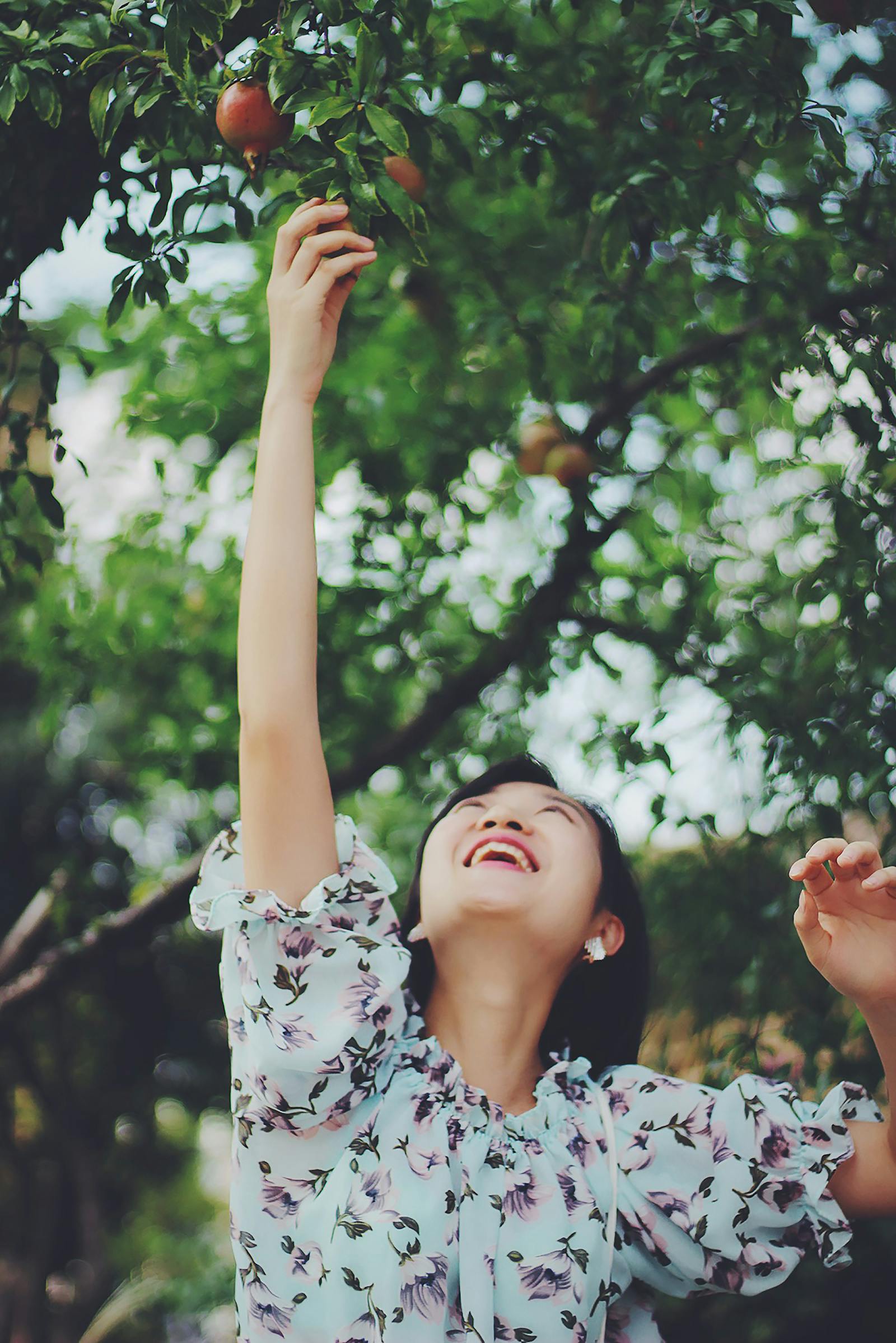 2,000+张最精彩的“Pick”图片 · 100%免费下载 · Pexels素材图片