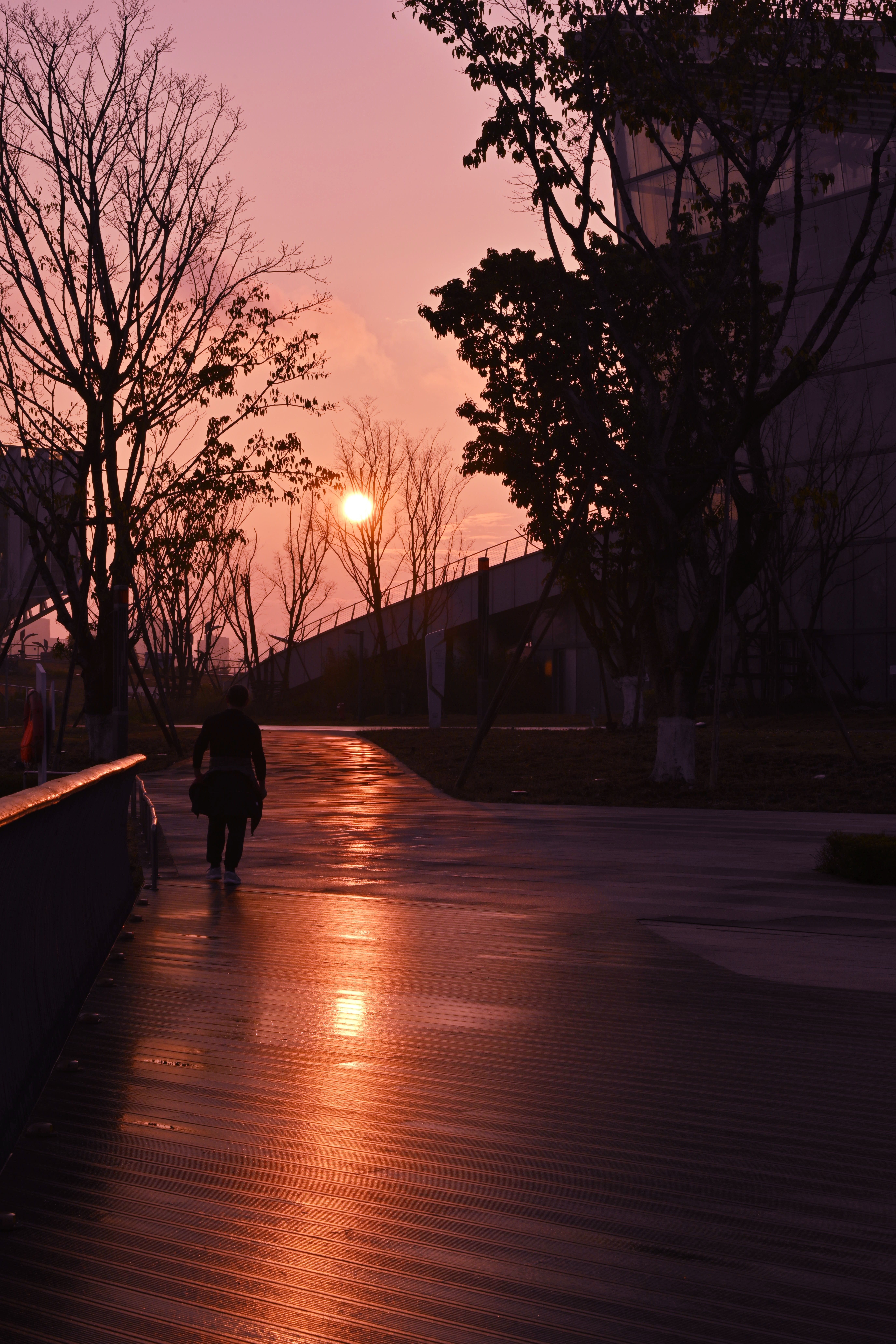 Scenic Urban Pathway at Sunset with Silhouettes · Free Stock Photo