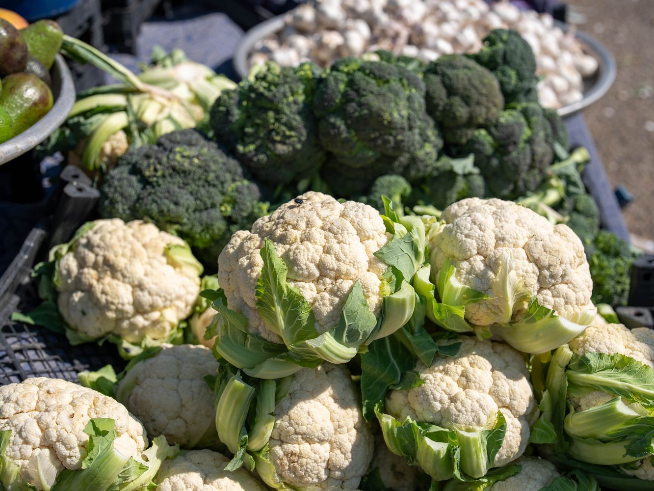 Cauli Flower Photos, Download The BEST Free Cauli Flower Stock Photos ...