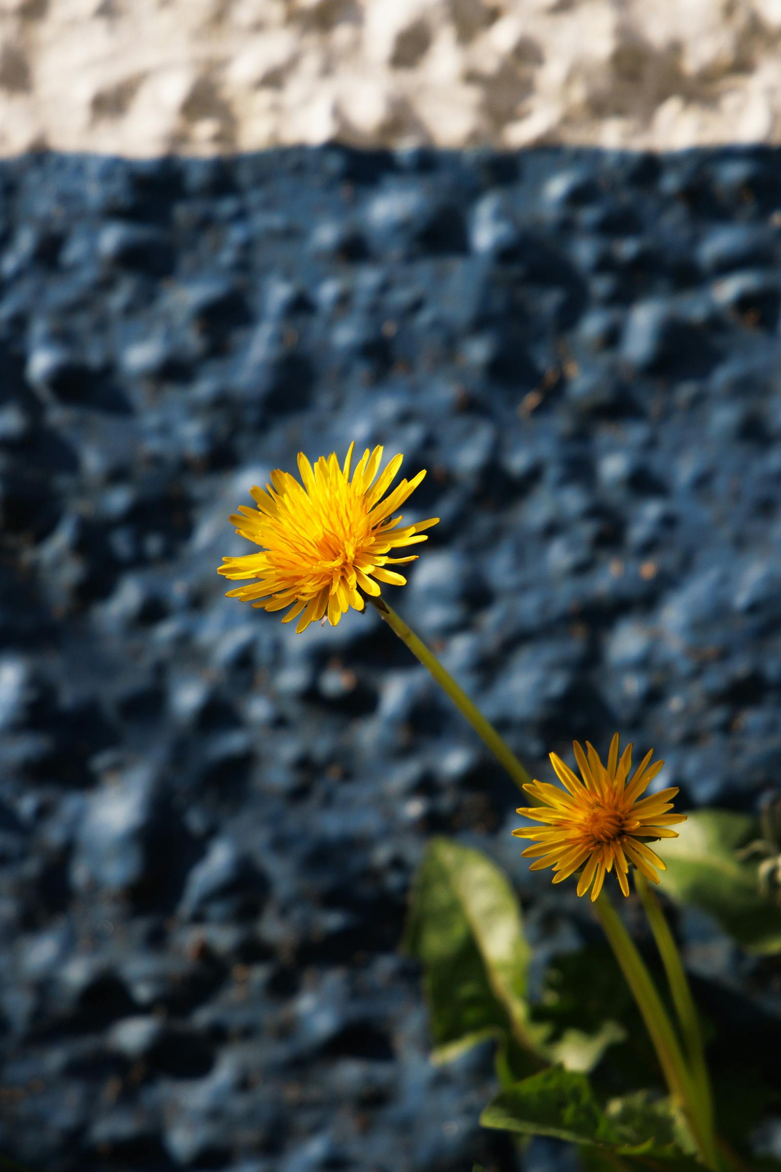 Background Caver Photos, Download The BEST Free Background Caver Stock ...