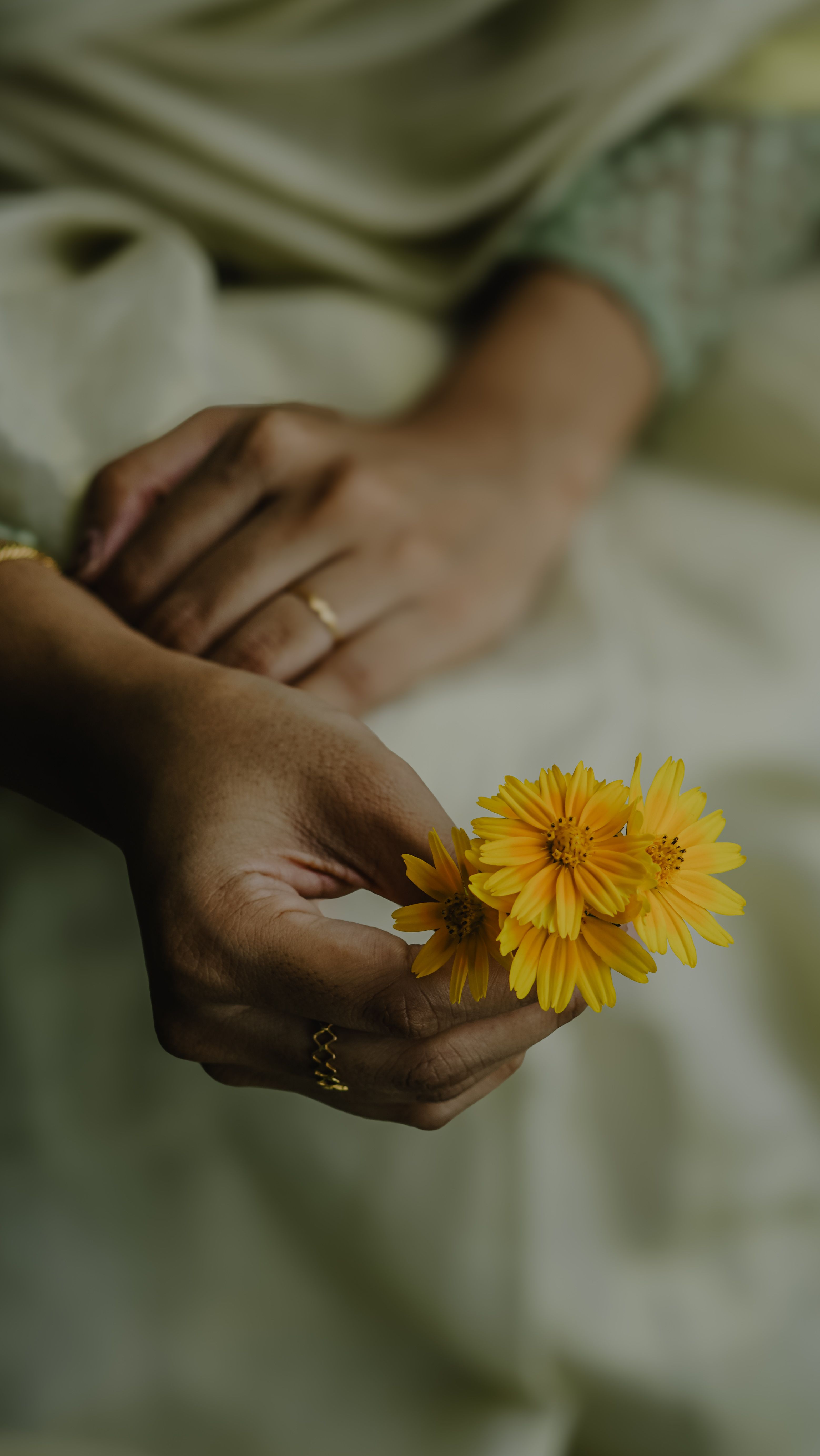 Close-Up of Hands Holding Yellow Flowers · Free Stock Photo