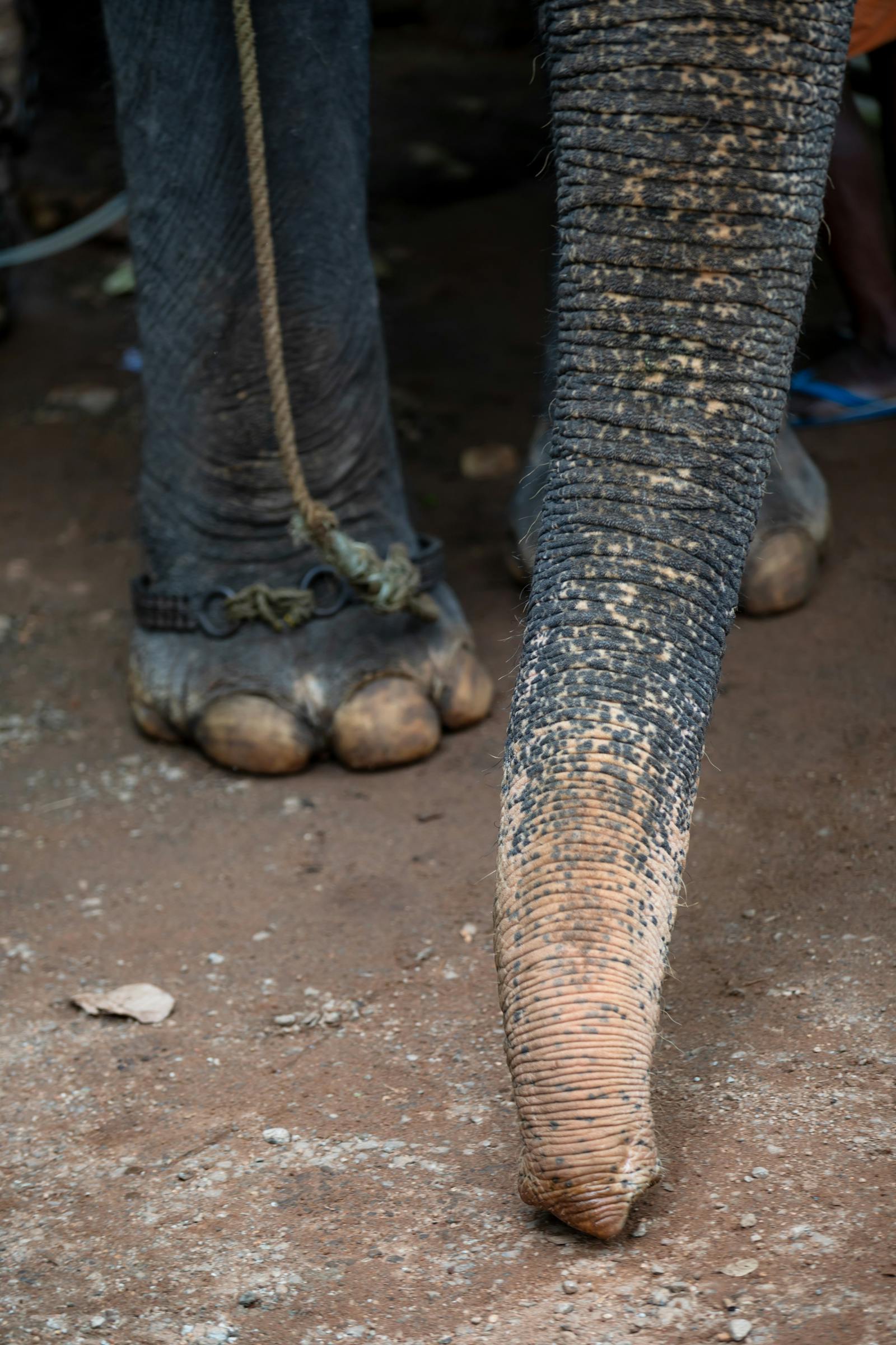 10,000+ Best Feet Photos · 100% Free Download · Pexels Stock Photos