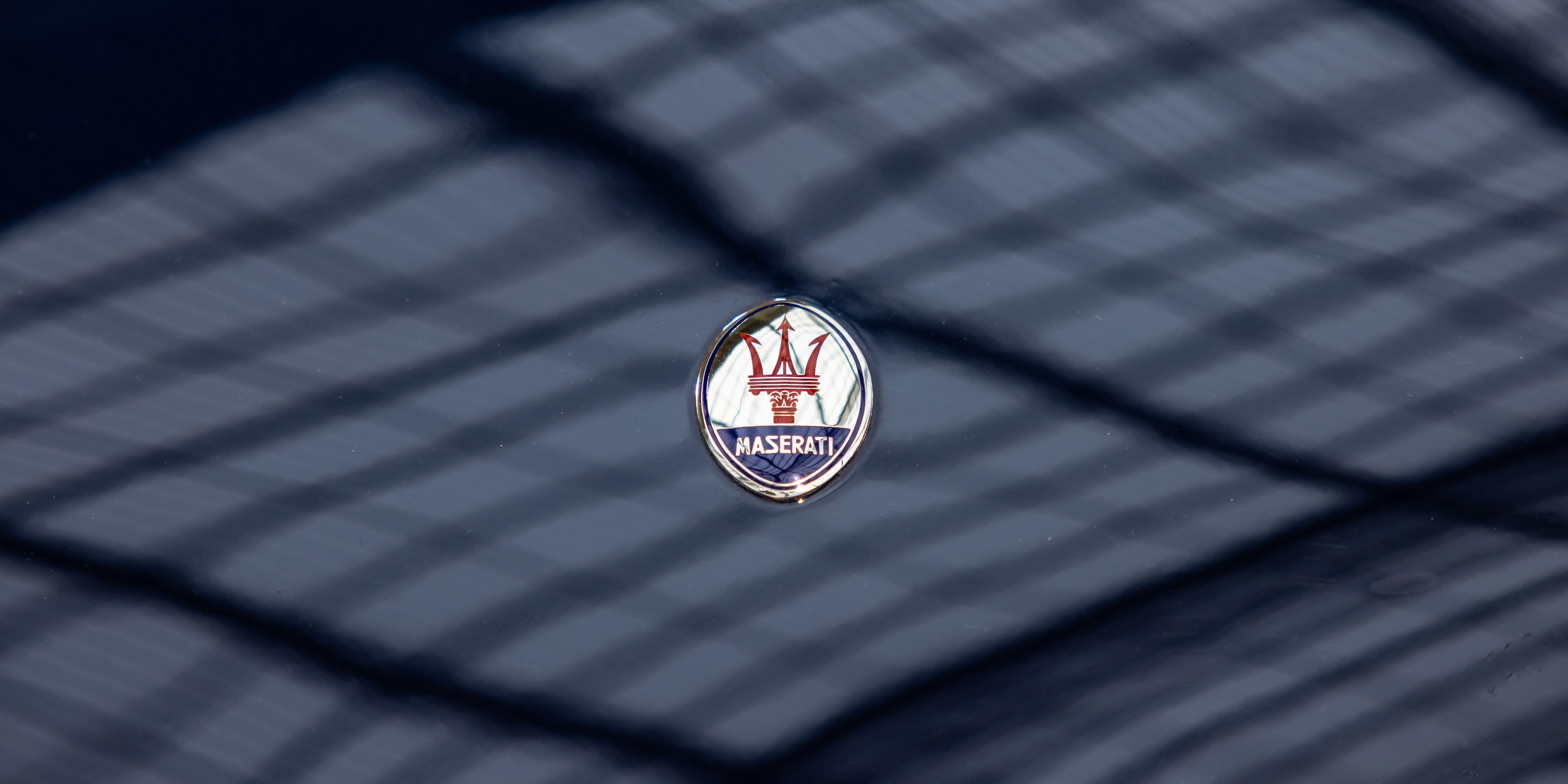 Kuma Logo Photos, Download The BEST Free Kuma Logo Stock Photos & HD Images