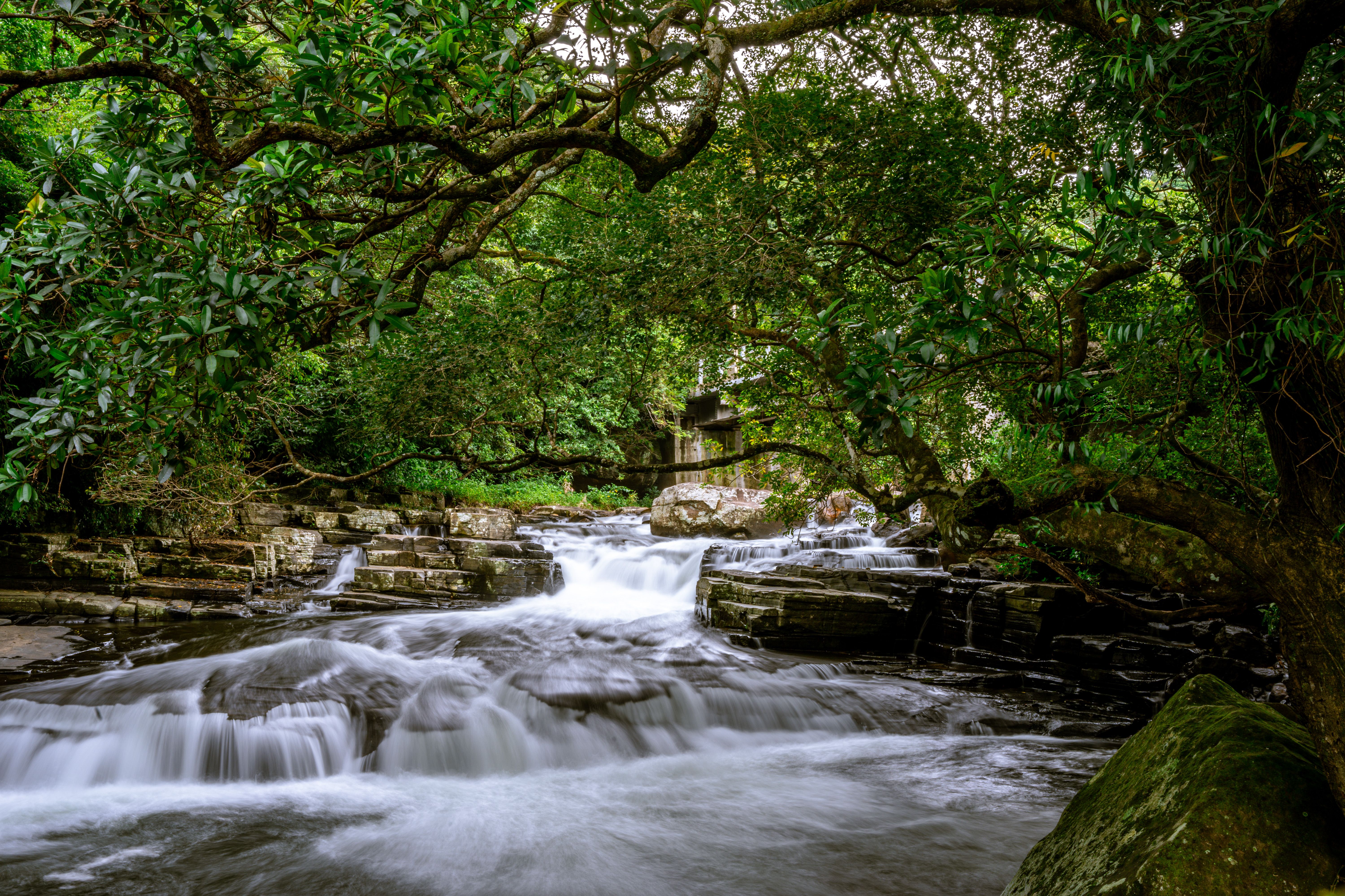 Cascade Sereine Dans La Forêt Tropicale · Photo gratuite