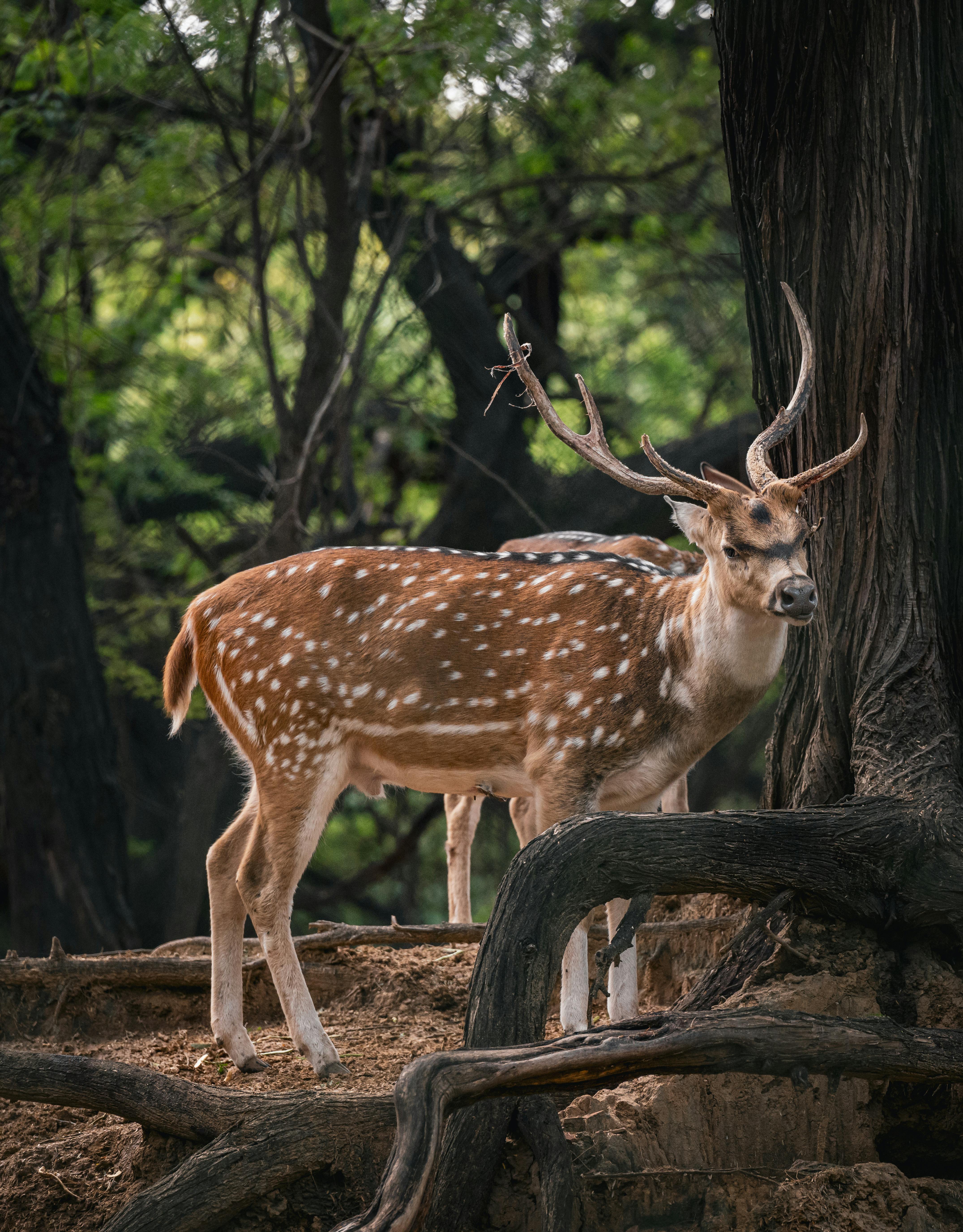 4 Mb Images Photos, Download The BEST Free 4 Mb Images Stock Photos ...