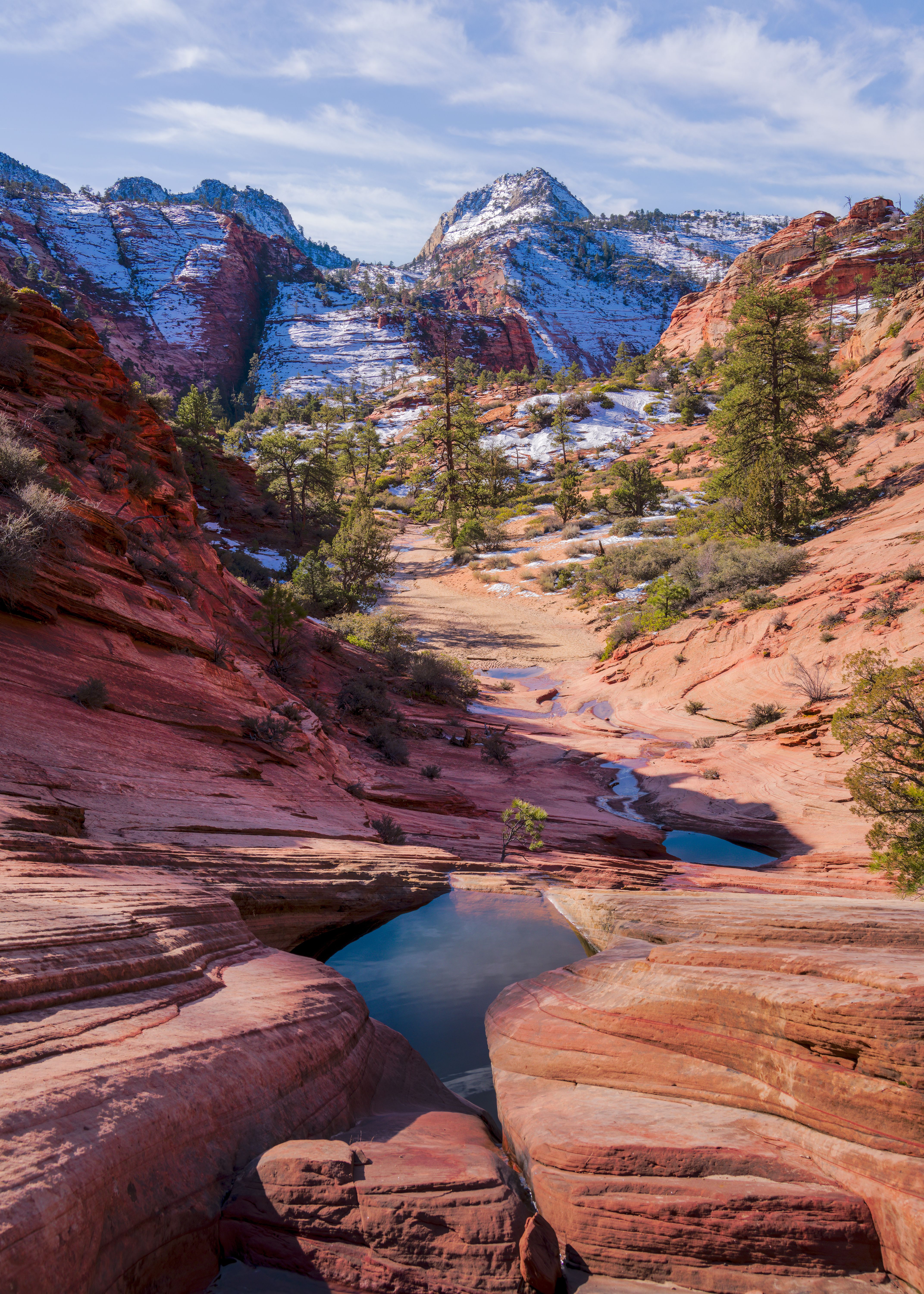 Beautiful Snow Capped Red Rock Canyon in Utah · Free Stock Photo