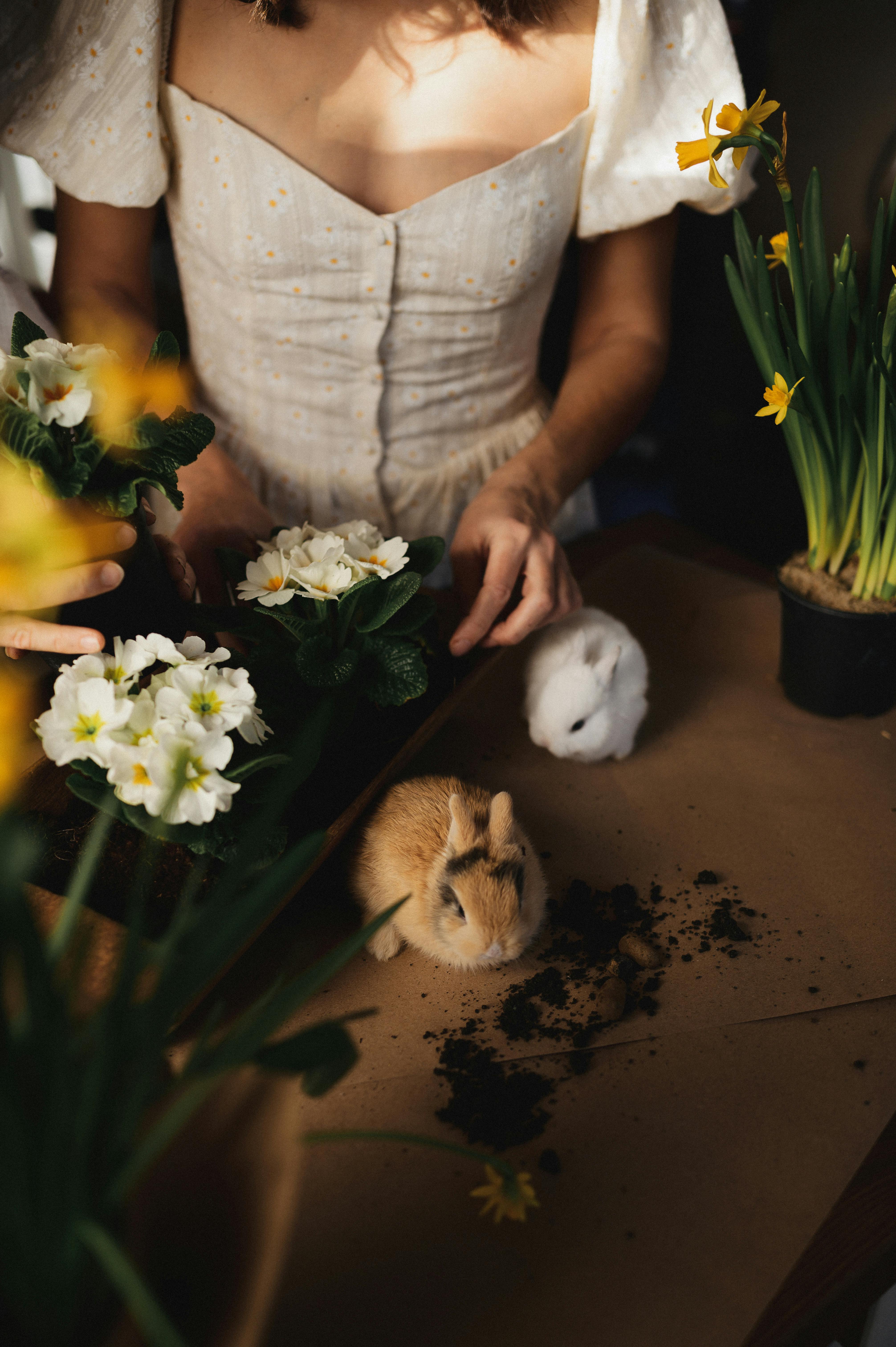 Happy+Friday+Spring Photos, Download The BEST Free Happy+Friday+Spring ...