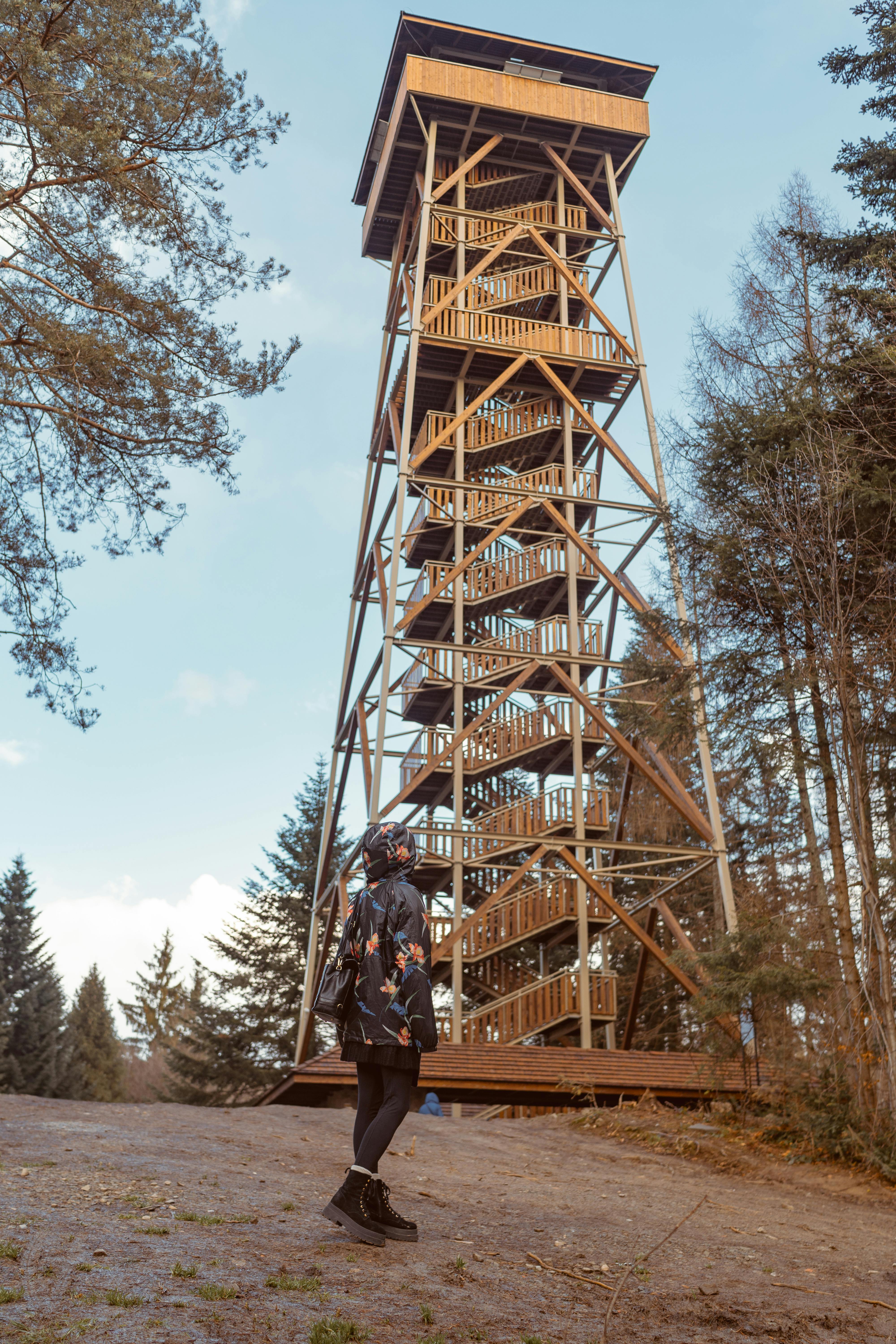Wooden Observation Tower in Polish Forest · Free Stock Photo