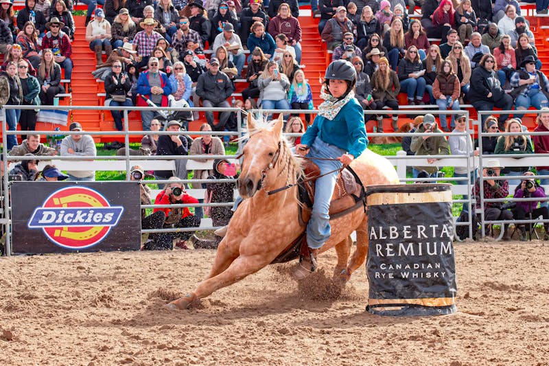 Rodeo Photos, Download The BEST Free Rodeo Stock Photos & HD Images