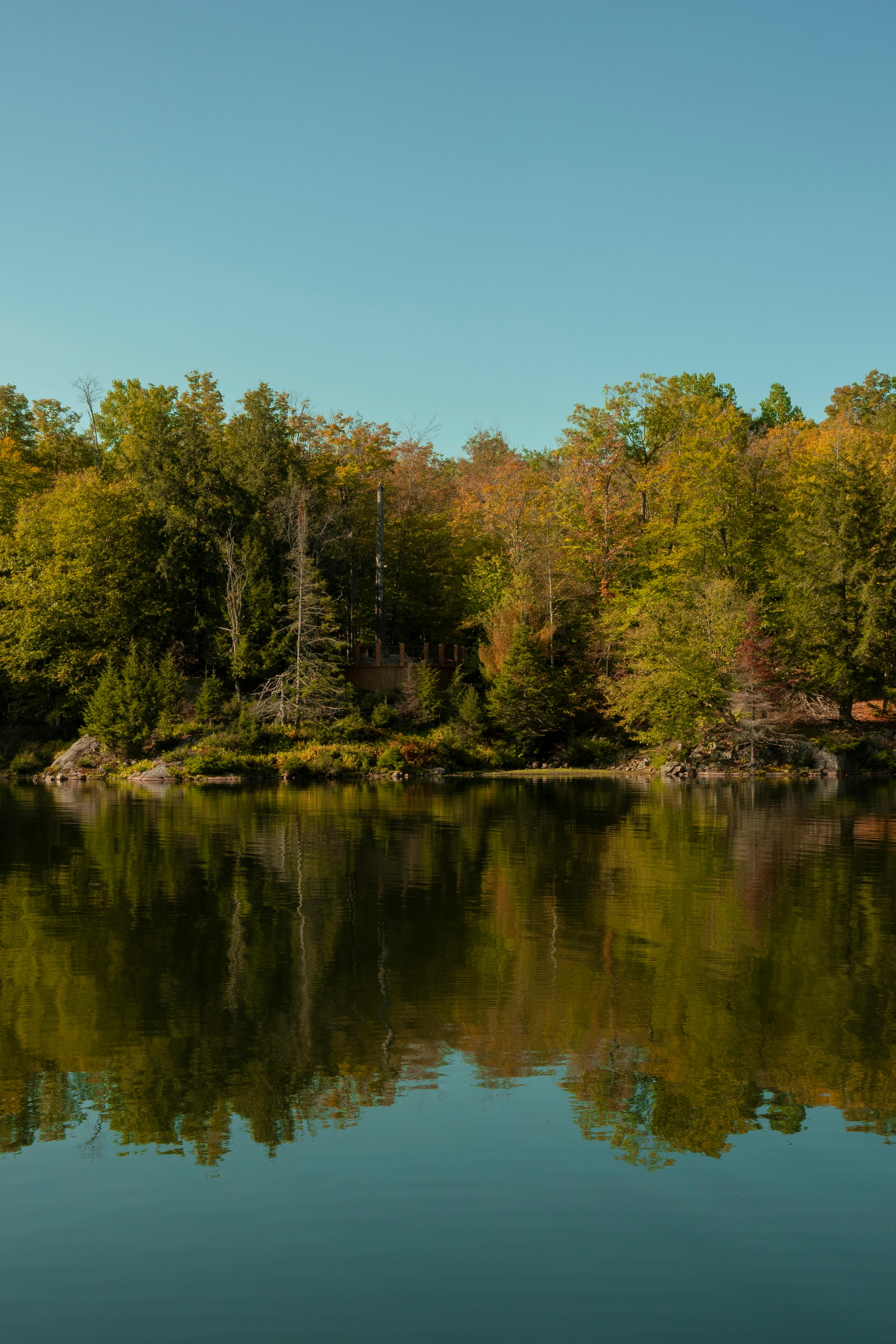 Serene Autumn Lake View in Toronto, Canada · Free Stock Photo