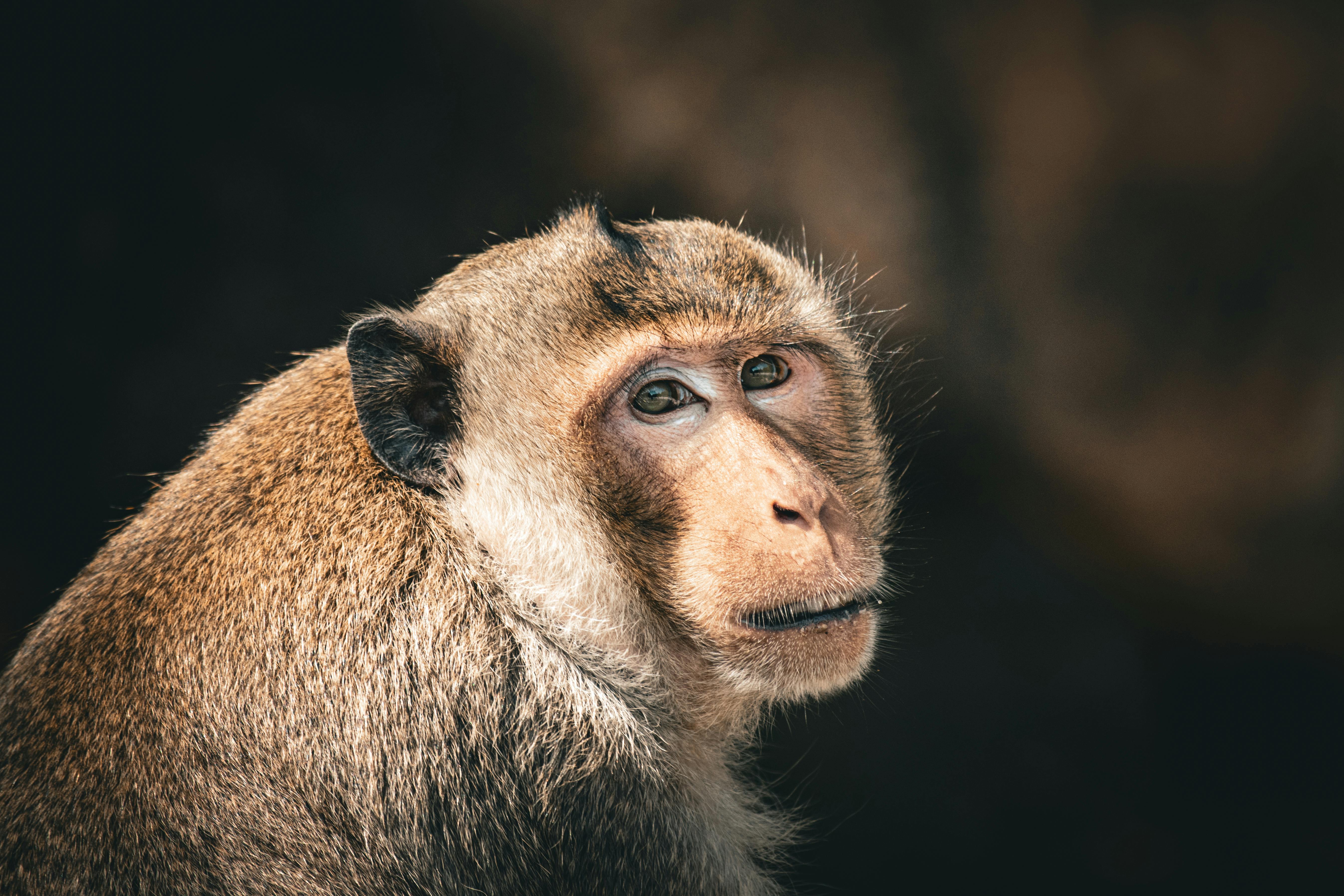 Typhoon Philippines Bagyo Photos, Download The BEST Free Typhoon ...